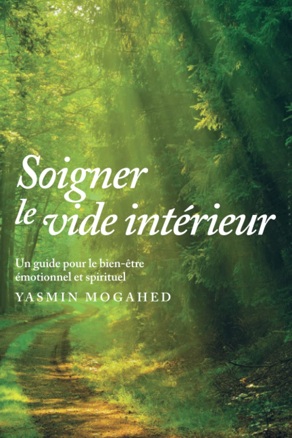 Soigner le vide intérieur: Guide pour un bien-être spirituel et ...