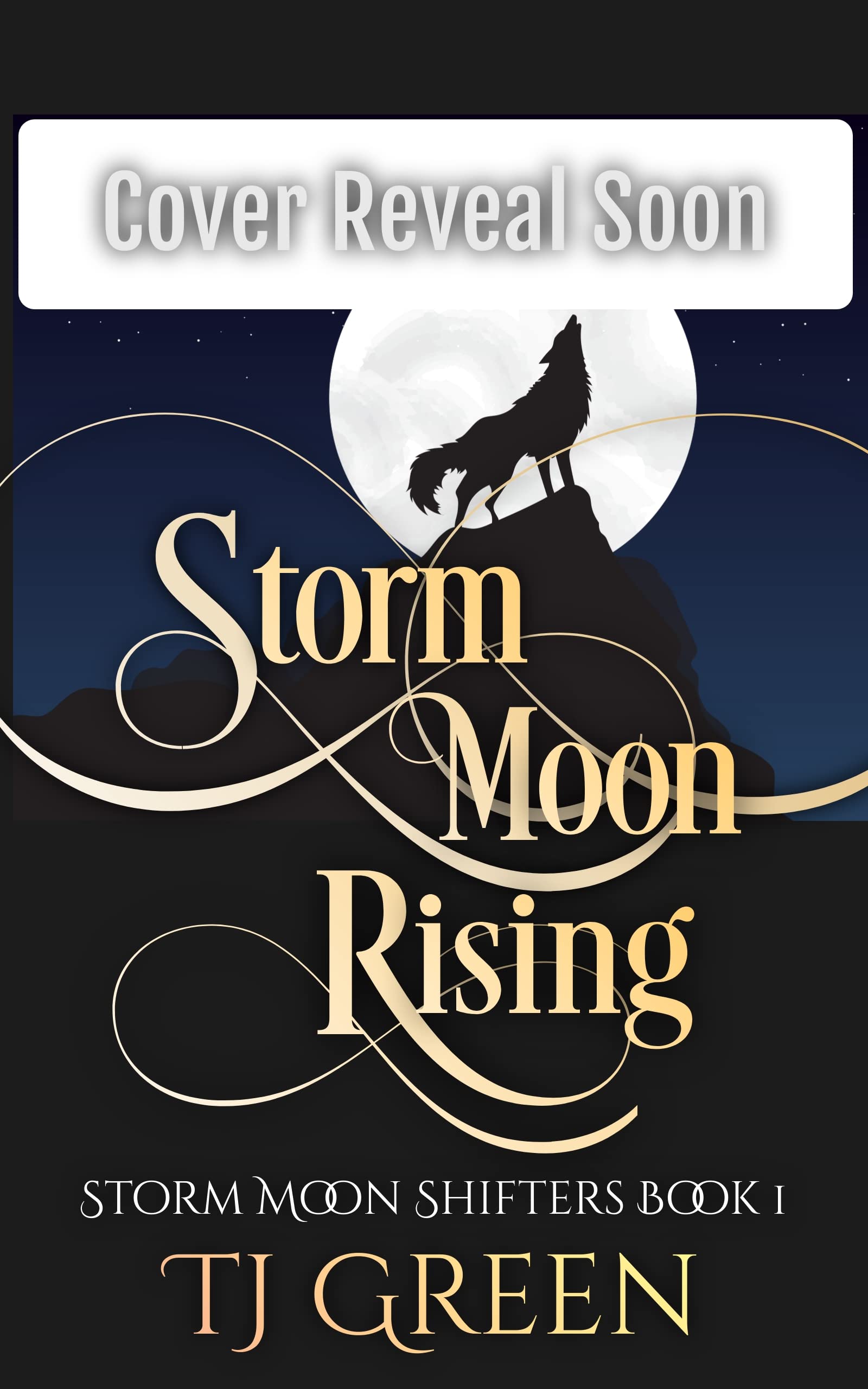 Storm Moon Rising (Storm Moon Shifters Book 1) by TJ Green | Goodreads