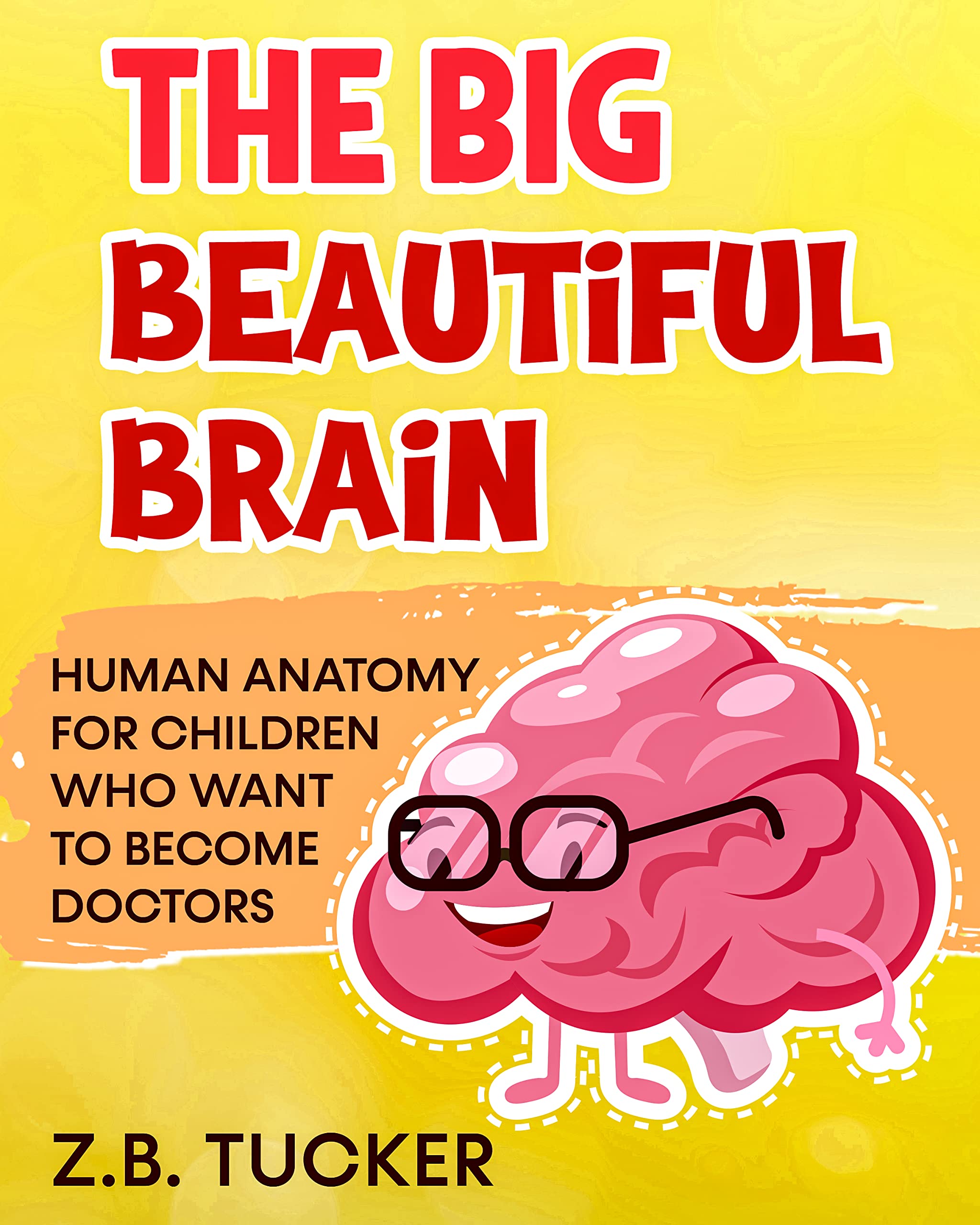 The Big Beautiful Brain: Neuroscience For Kids: Human Anatomy For ...