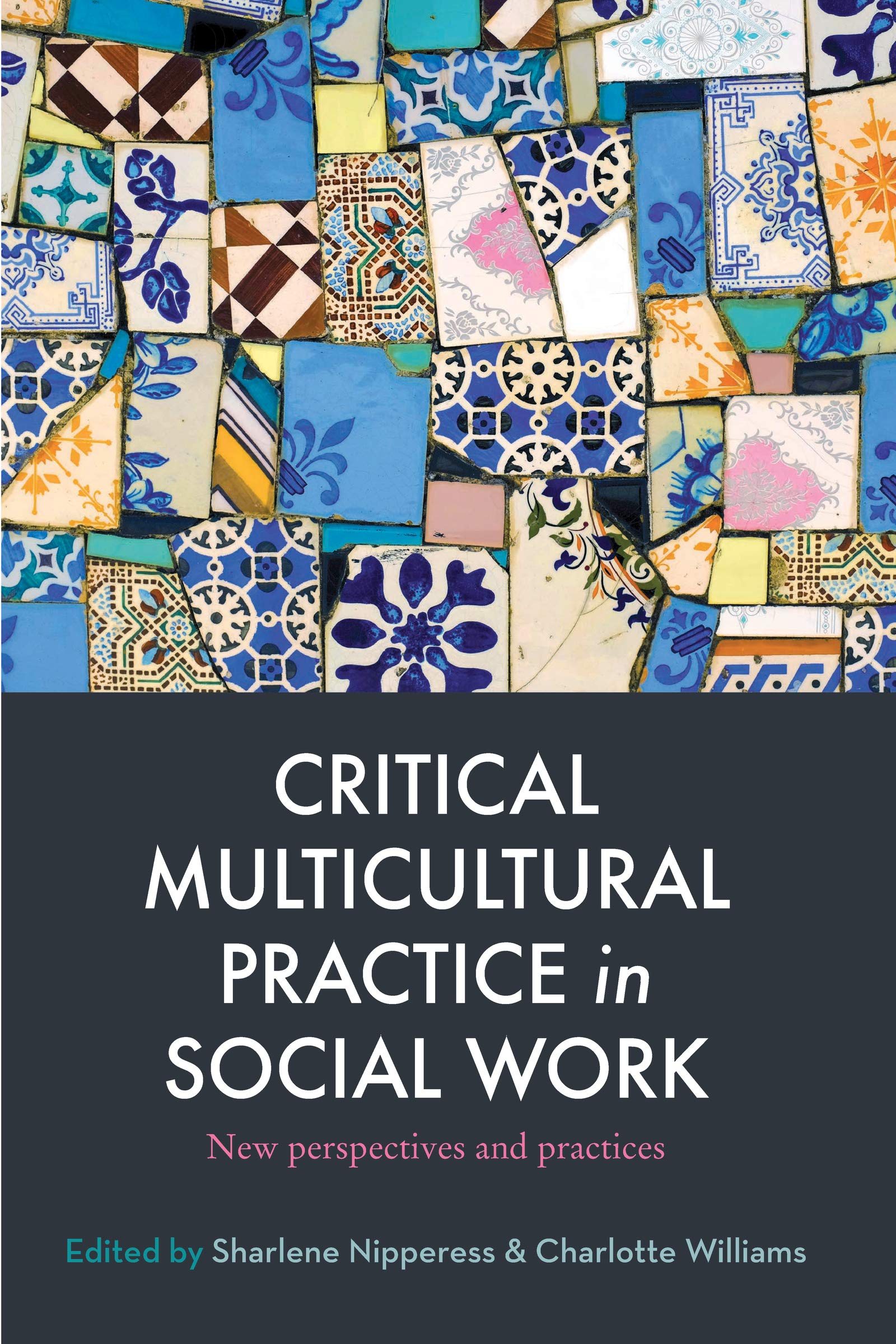 Critical Multicultural Practice in Social Work: New perspectives and ...