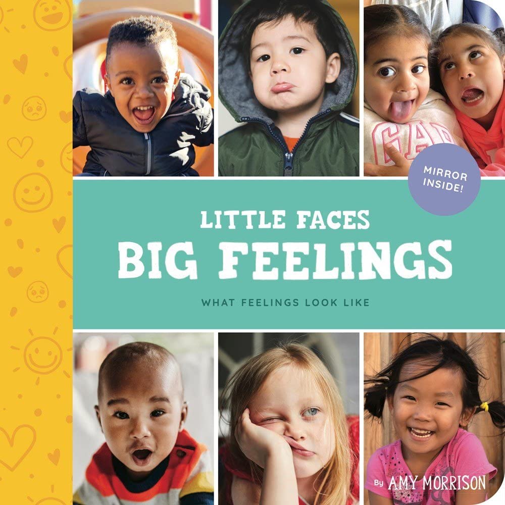Little Faces Big Feelings: What Emotions Look Like by Amy Morrison ...