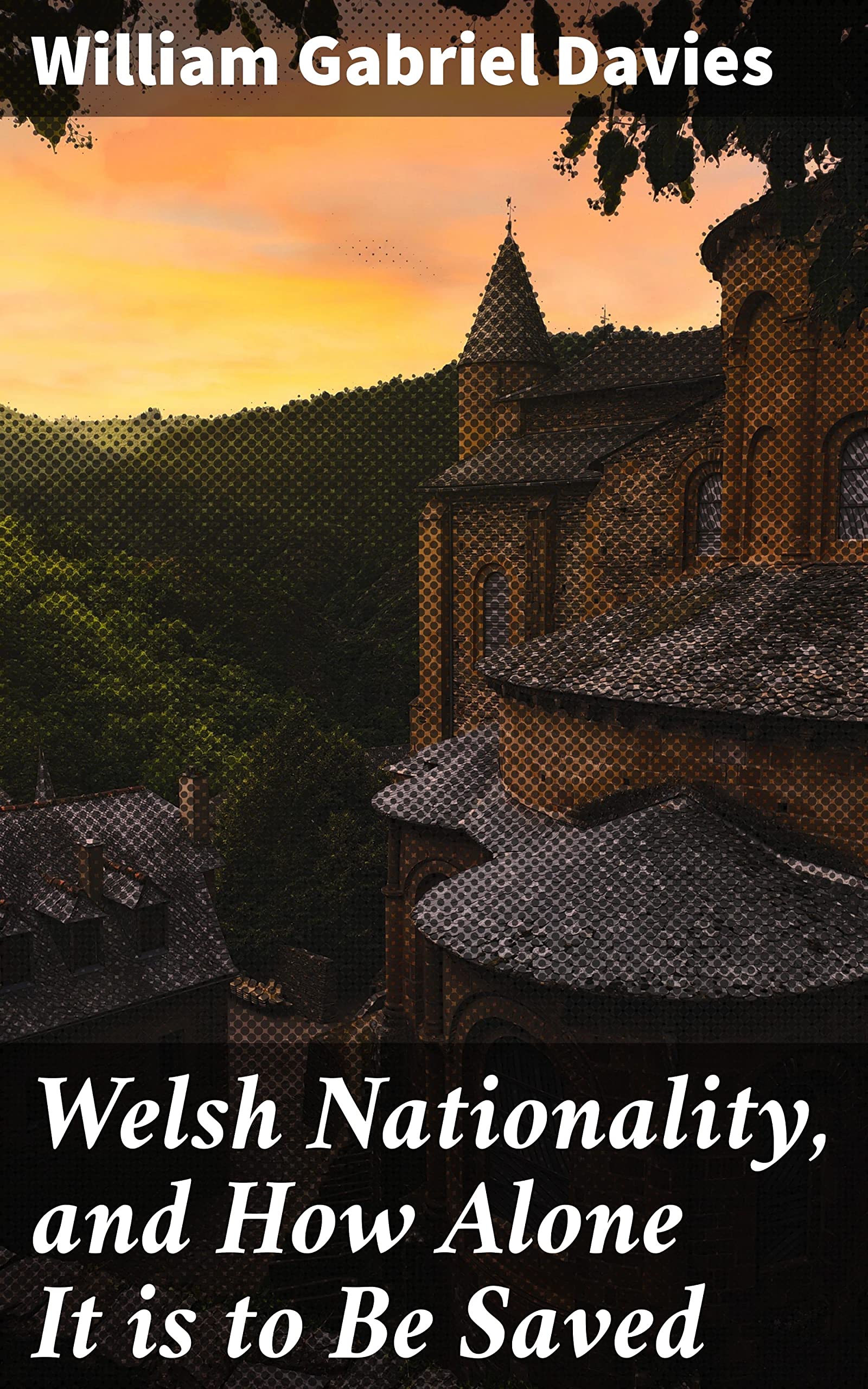 Welsh Nationality, and How Alone It is to Be Saved by William Gabriel ...