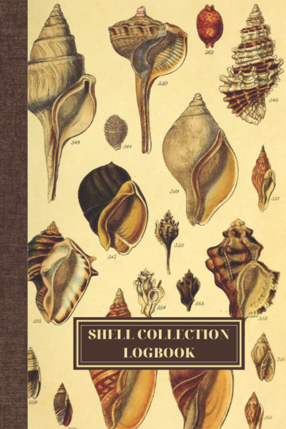 Shell Collection Logbook: A Notebook For Kids And Adults Beachcombers ...
