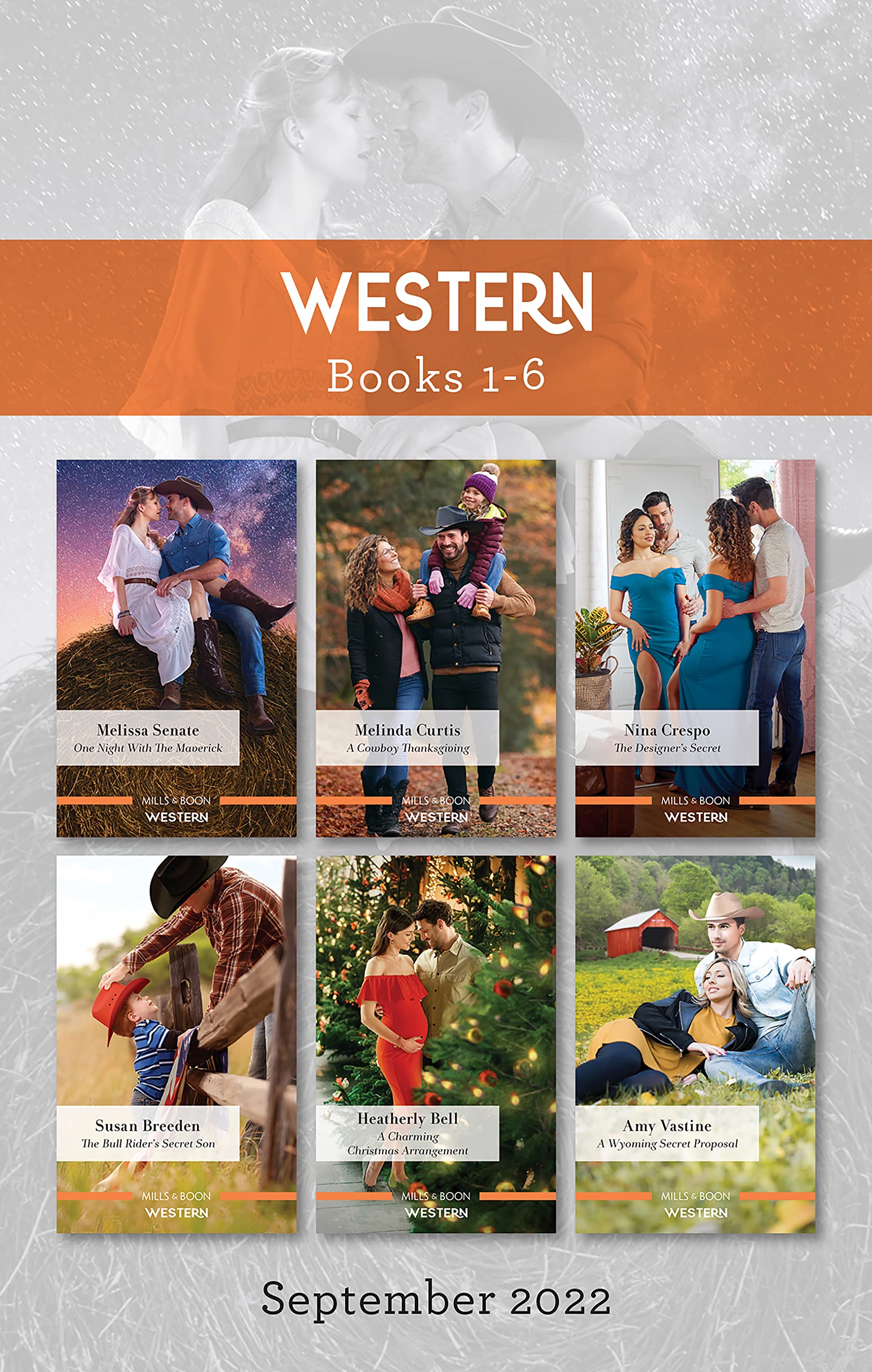 Western Box Set Sept 2022/One Night with the Maverick/A Cowboy ...