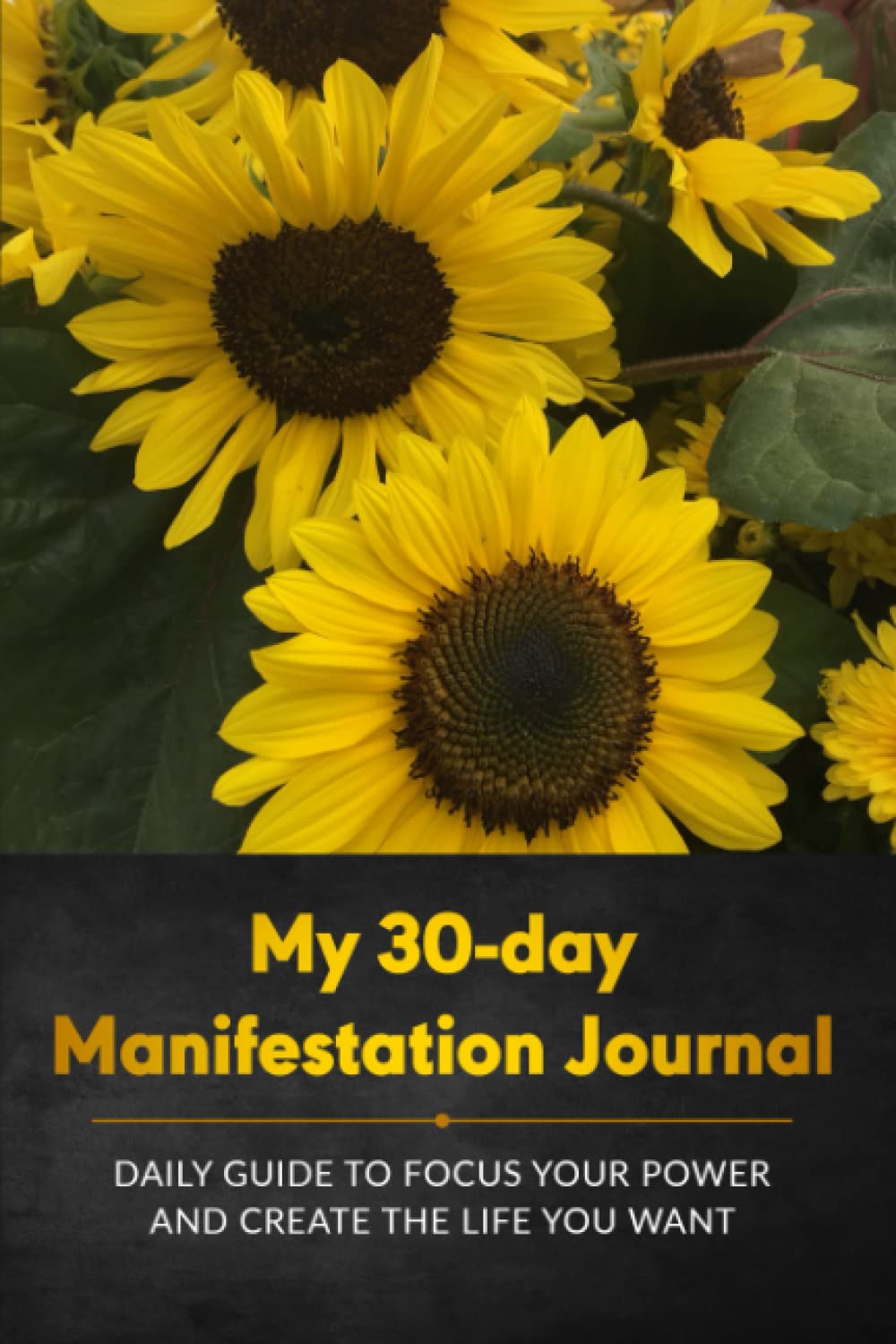 My 30-day Manifestation Journal: Daily guide to focus your power and ...