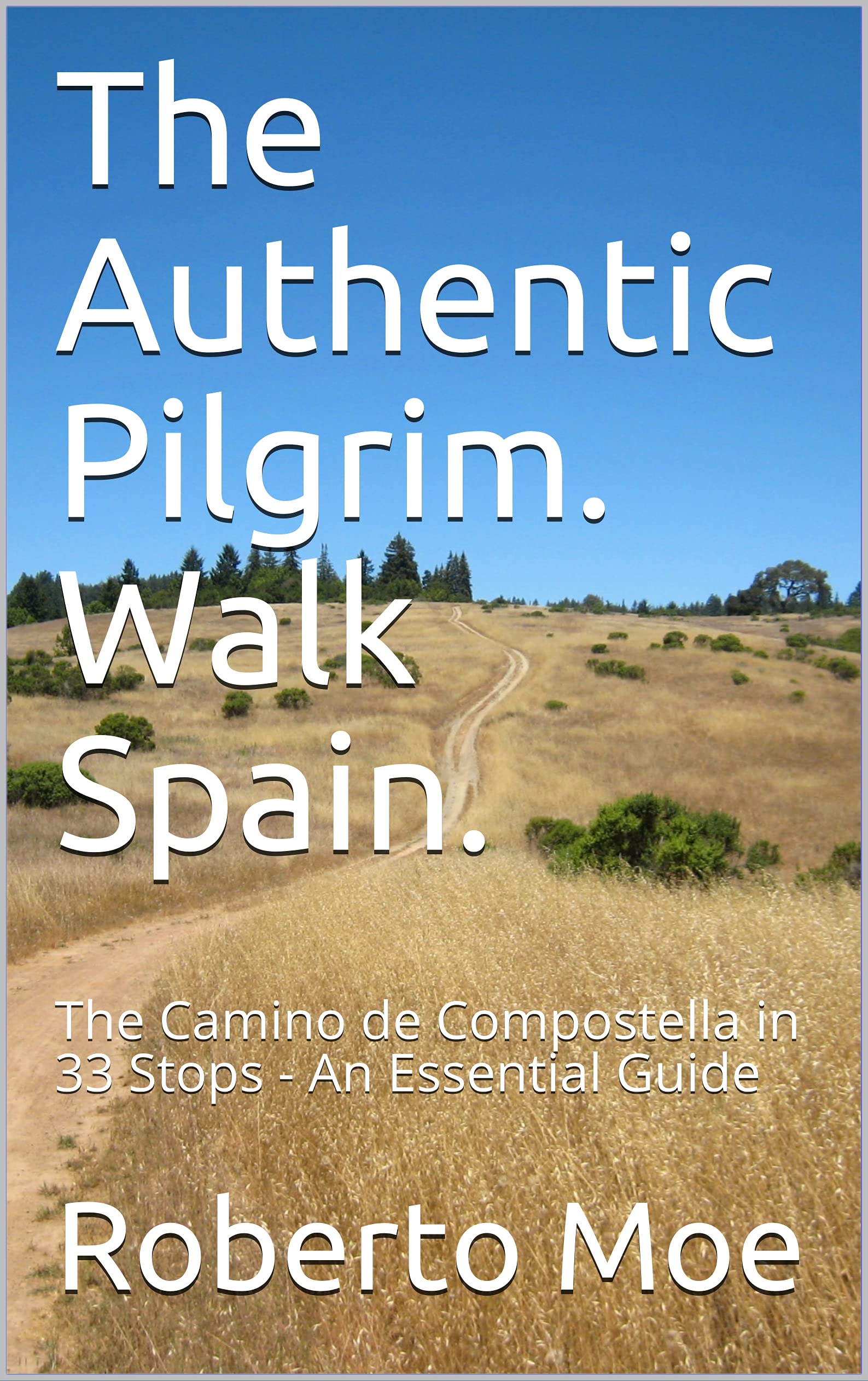 The Authentic Pilgrim. Walk Spain.: The Camino de Compostella in 33 ...