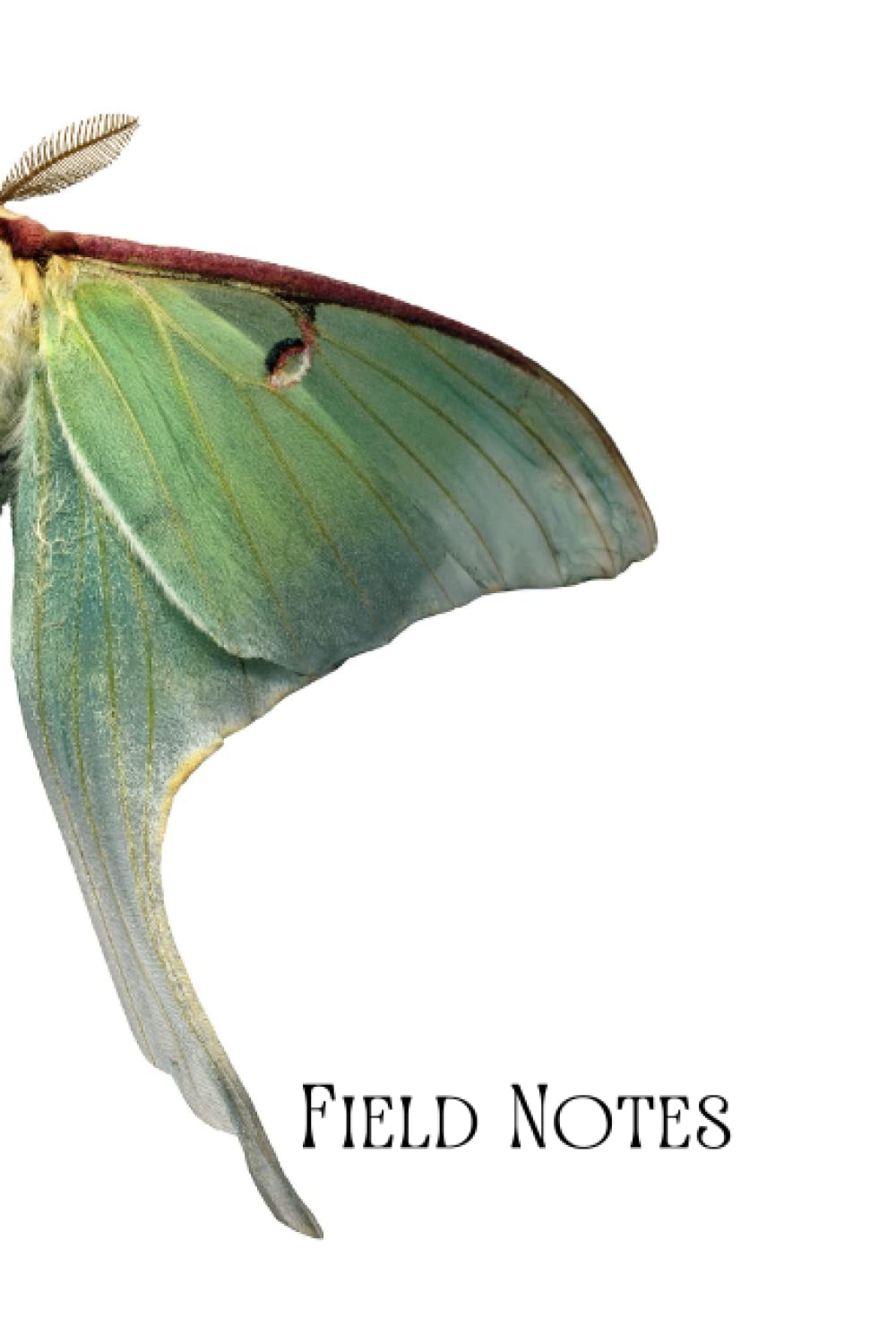 Field Notes: Luna Moth Notebook, A Modern Journal for Nature Lovers by ...