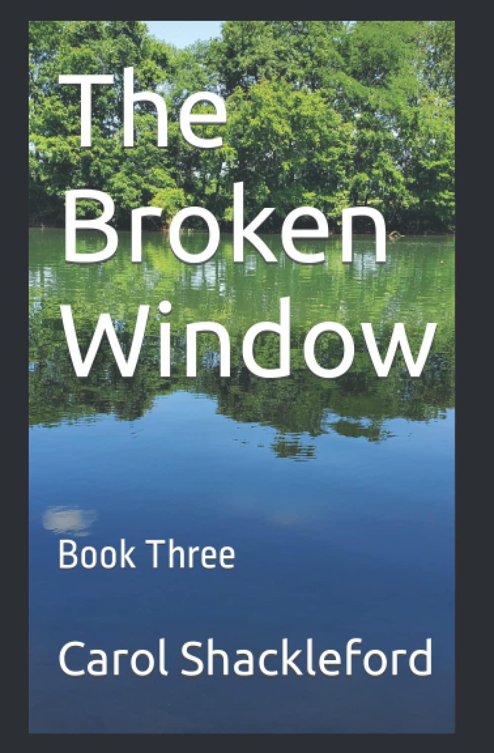 The Broken Window: Book Three by Carol Shackleford | Goodreads