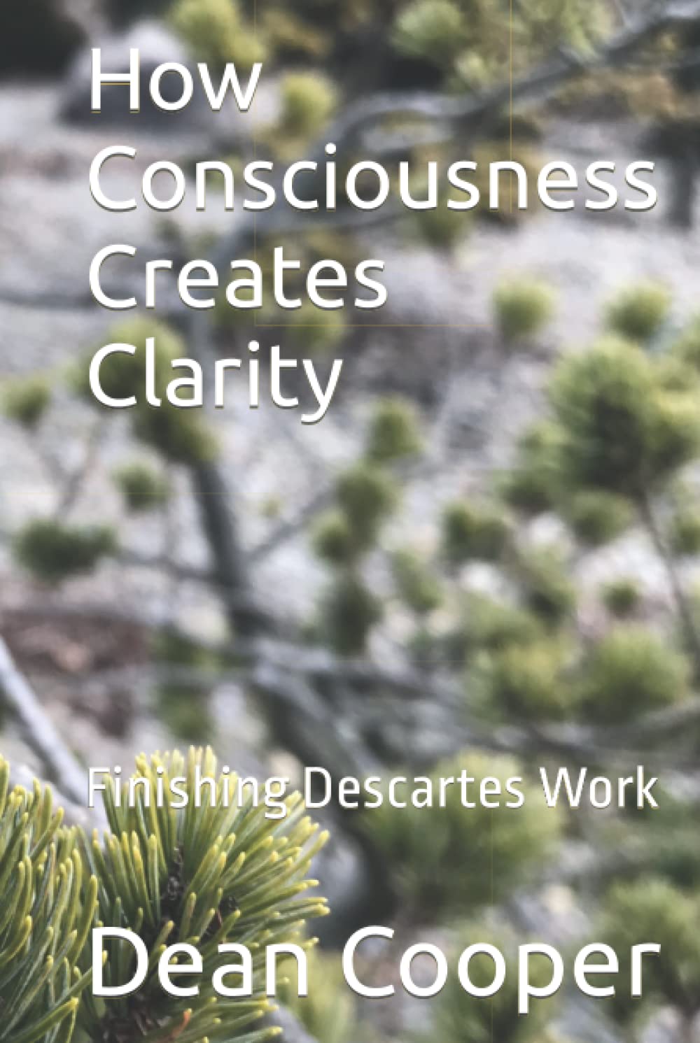 How Consciousness Creates Clarity: Finishing Descartes Work by Dean ...