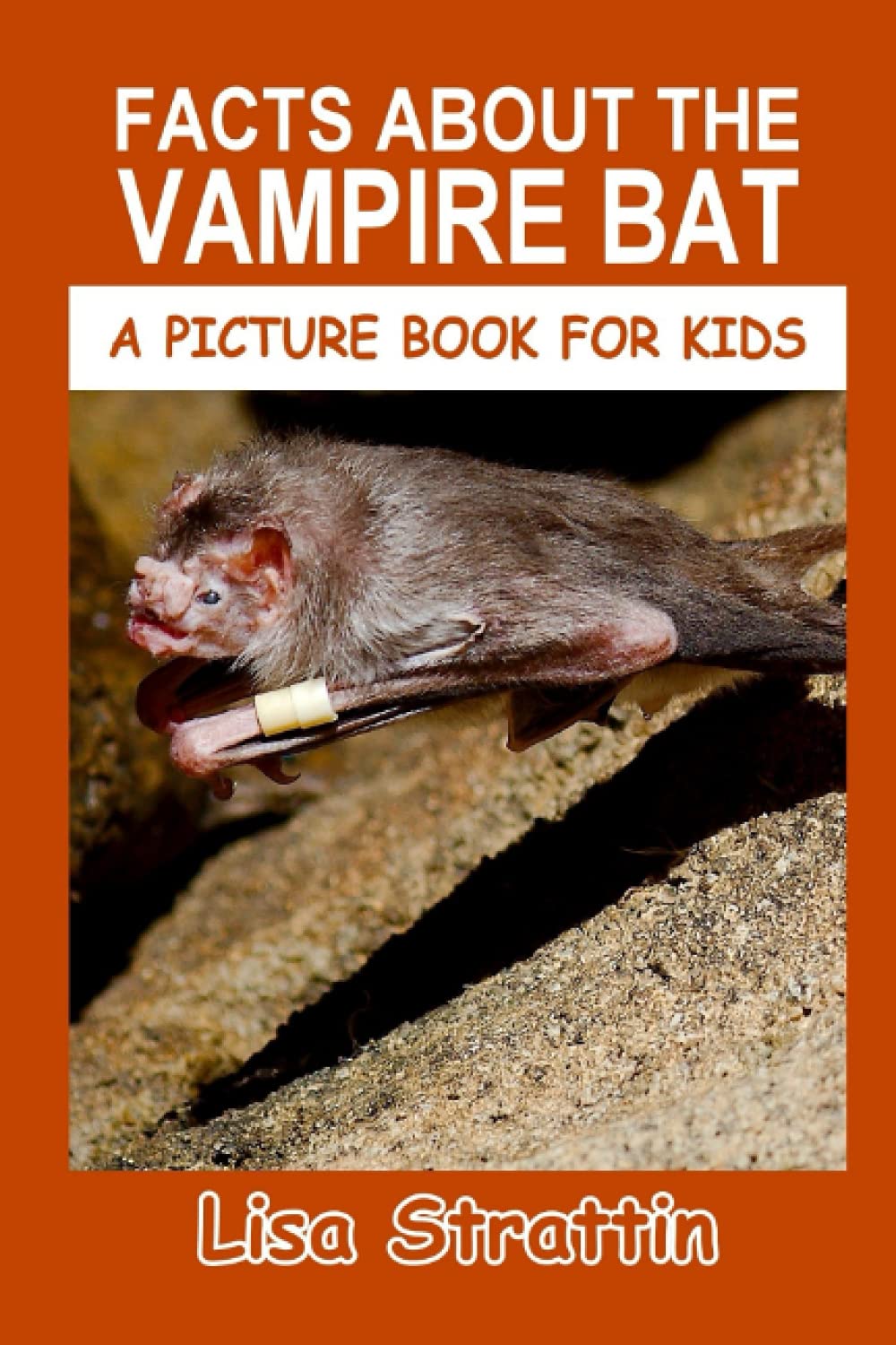 Facts About the Vampire Bat by Lisa Strattin | Goodreads
