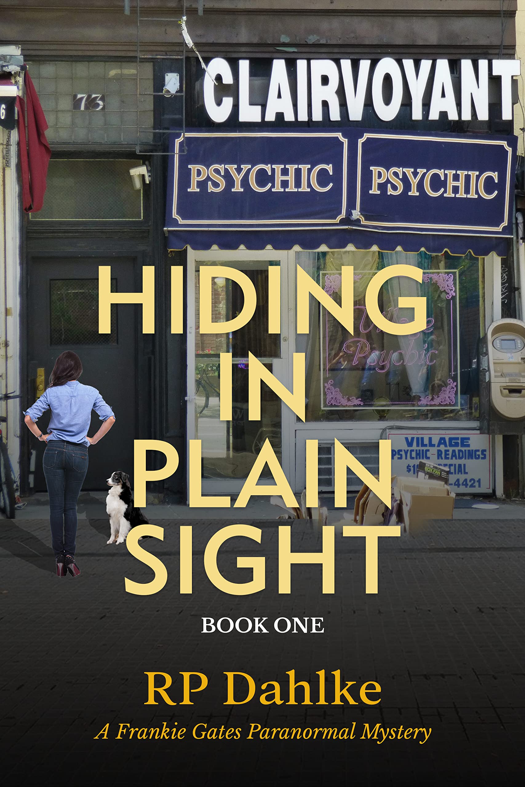 Hiding in Plain Sight A Frankie Gates Paranormal Mystery : Book One of ...