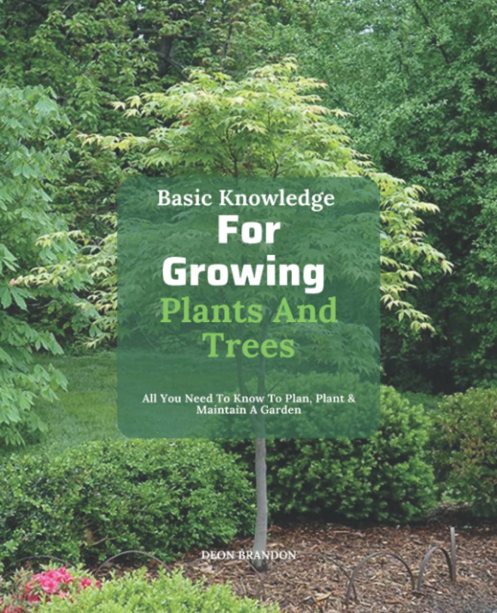 Basic Knowledge For Growing Plants And Trees: All You Need To Know To ...