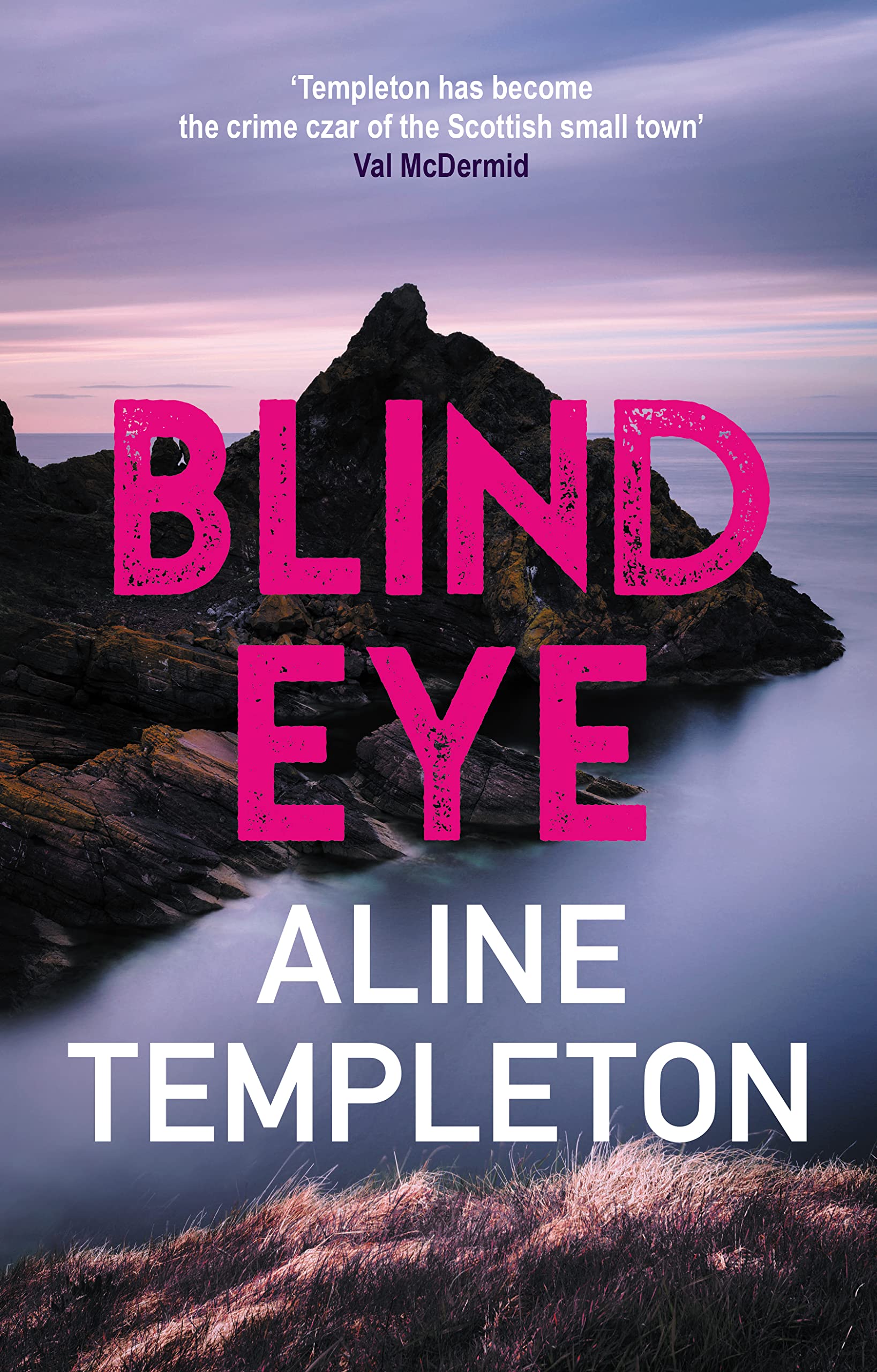 Blind Eye (DI Kelso Strang, #5) by Aline Templeton | Goodreads