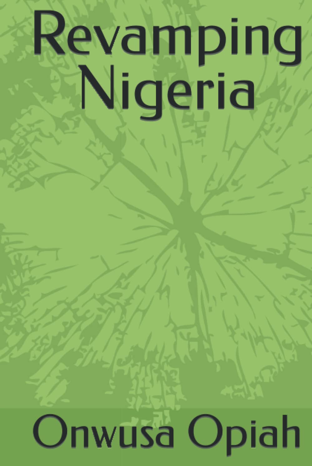 Revamping Nigeria by Mr Onwusa Opiah | Goodreads