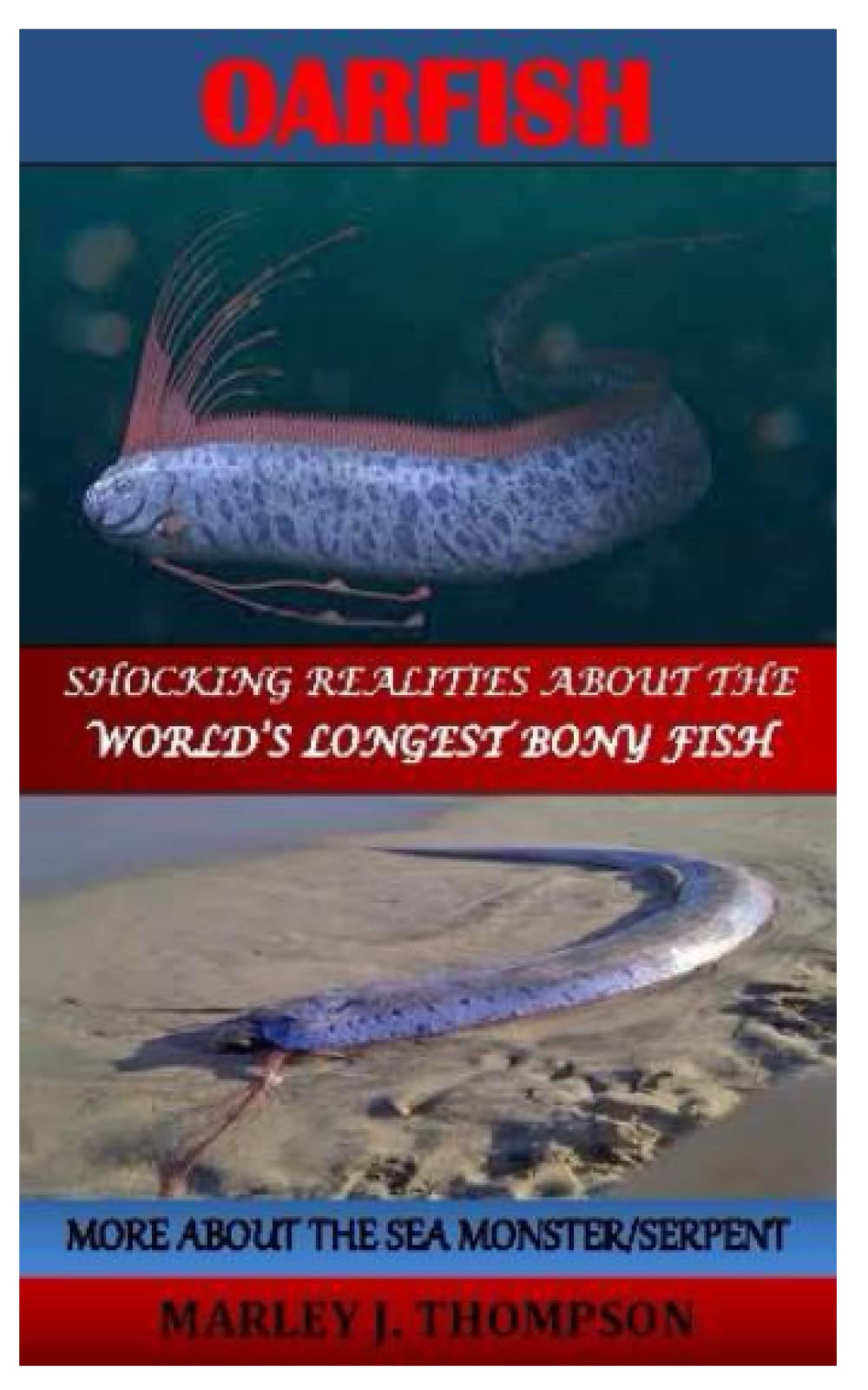 OARFISH: SHOCKING REALITIES ABOUT THE WORLD’S LONGEST BONY FISH by ...