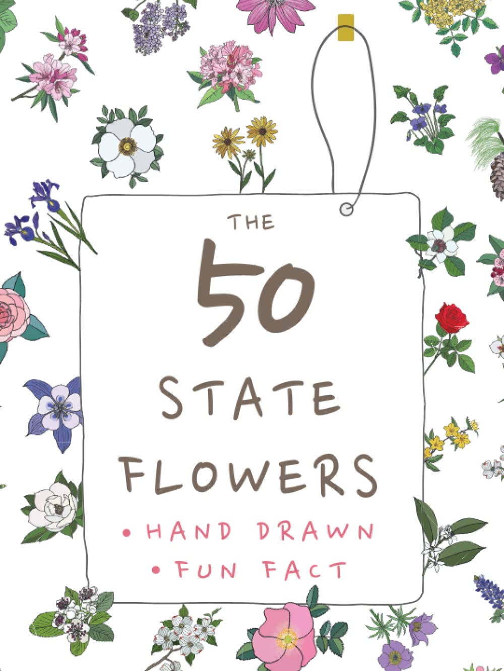 The 50 State Flowers: Fun Fact Book | Hand Drawn With Beautiful Color ...
