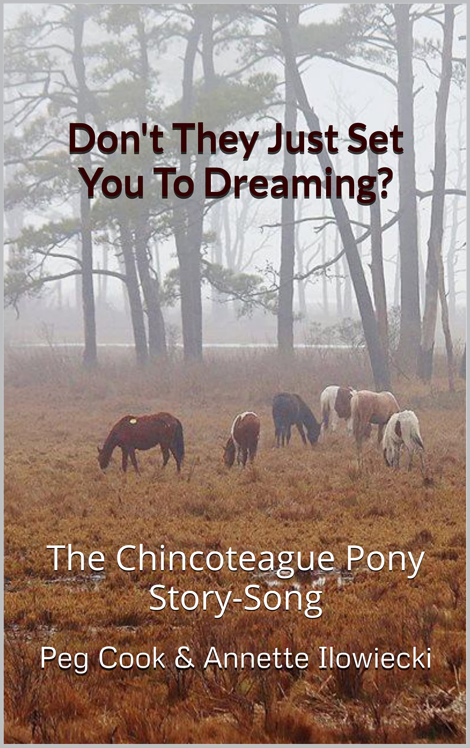 Don't They Just Set You To Dreaming: The Chincoteague Pony Story-Song ...