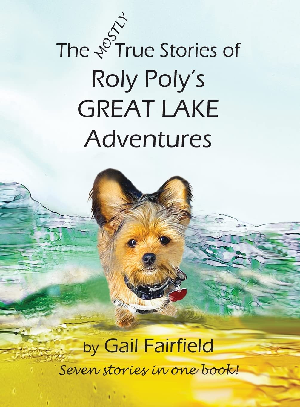The Mostly True Stories of Roly Poly's Great Lake Adventures by Gail ...
