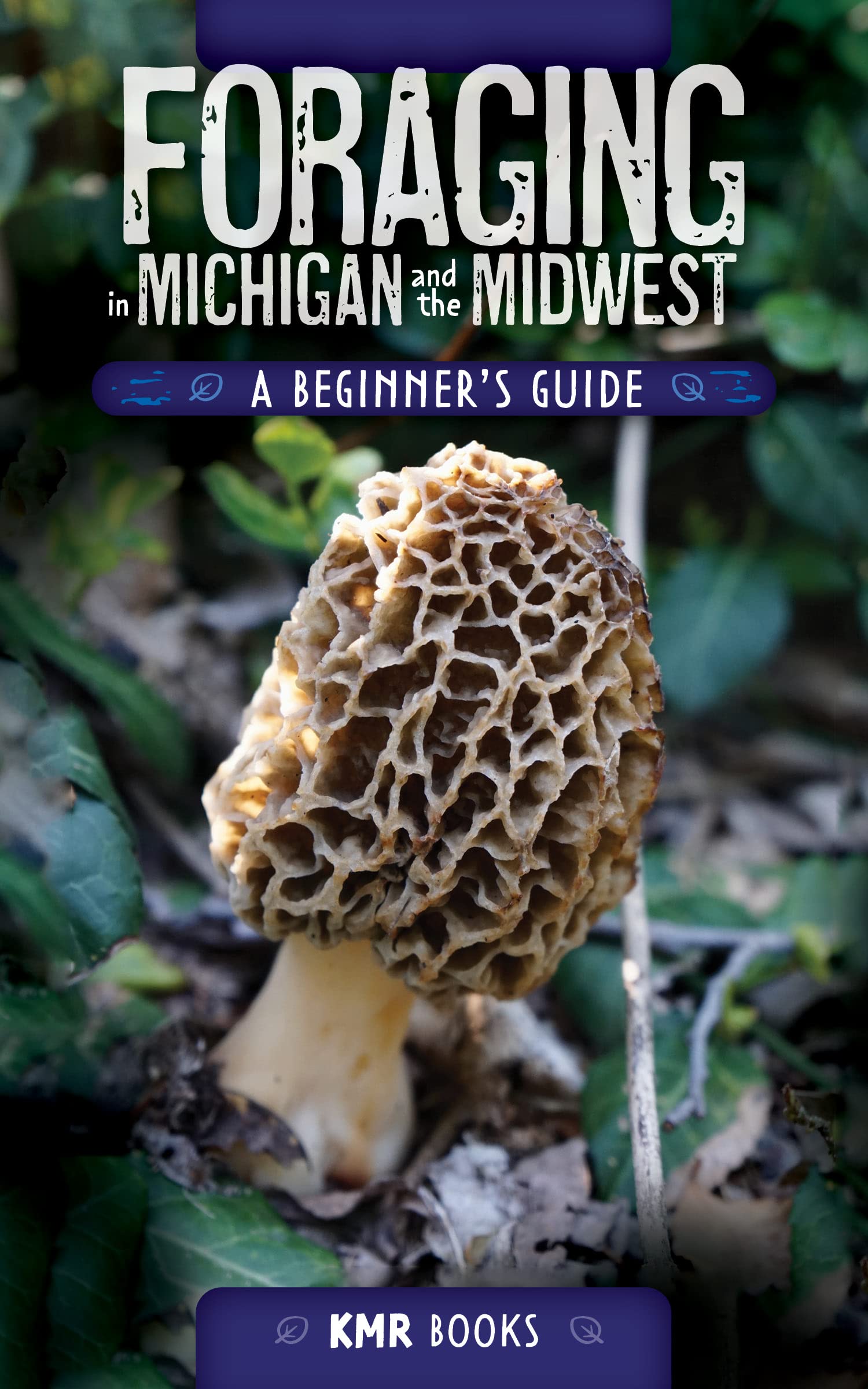 Foraging in Michigan and the Midwest: A Beginner's Guide by KMR Books ...