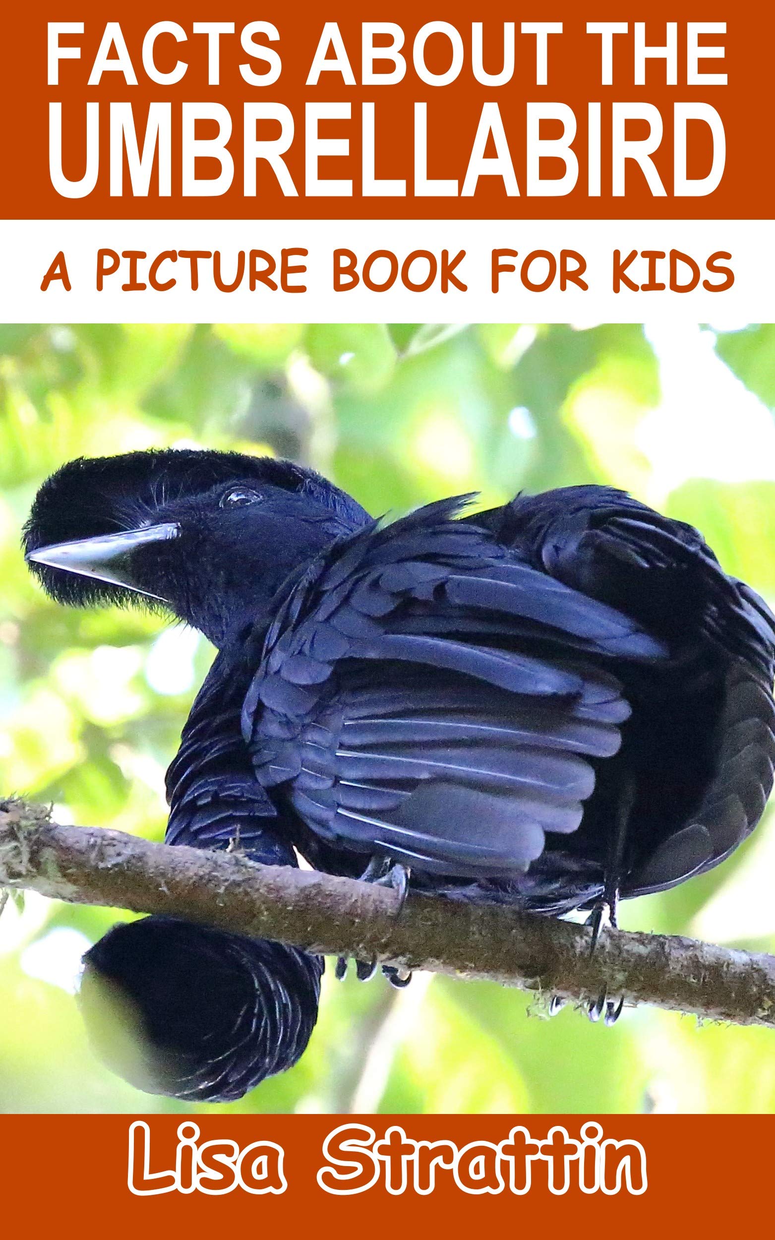 Facts About the Umbrellabird by Lisa Strattin | Goodreads