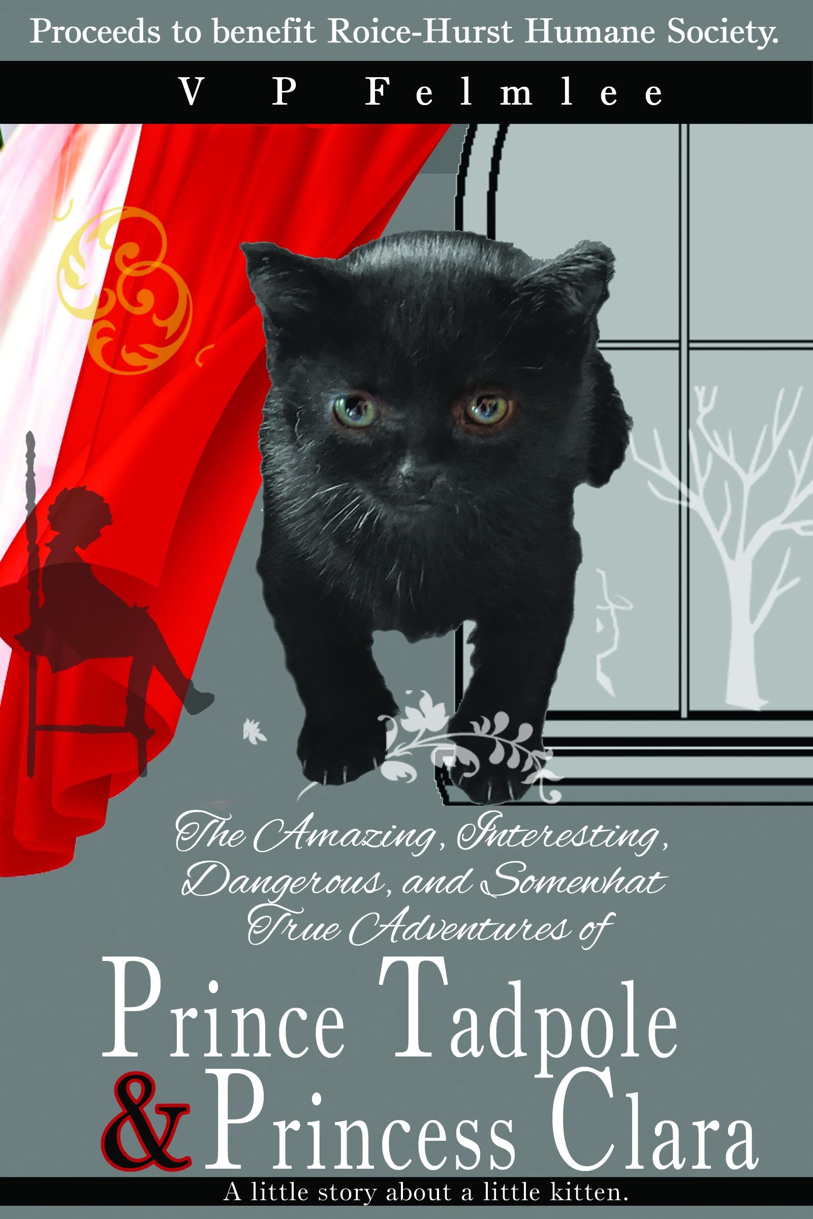 The Amazing, Interesting, Dangerous, and Somewhat True Adventures of ...