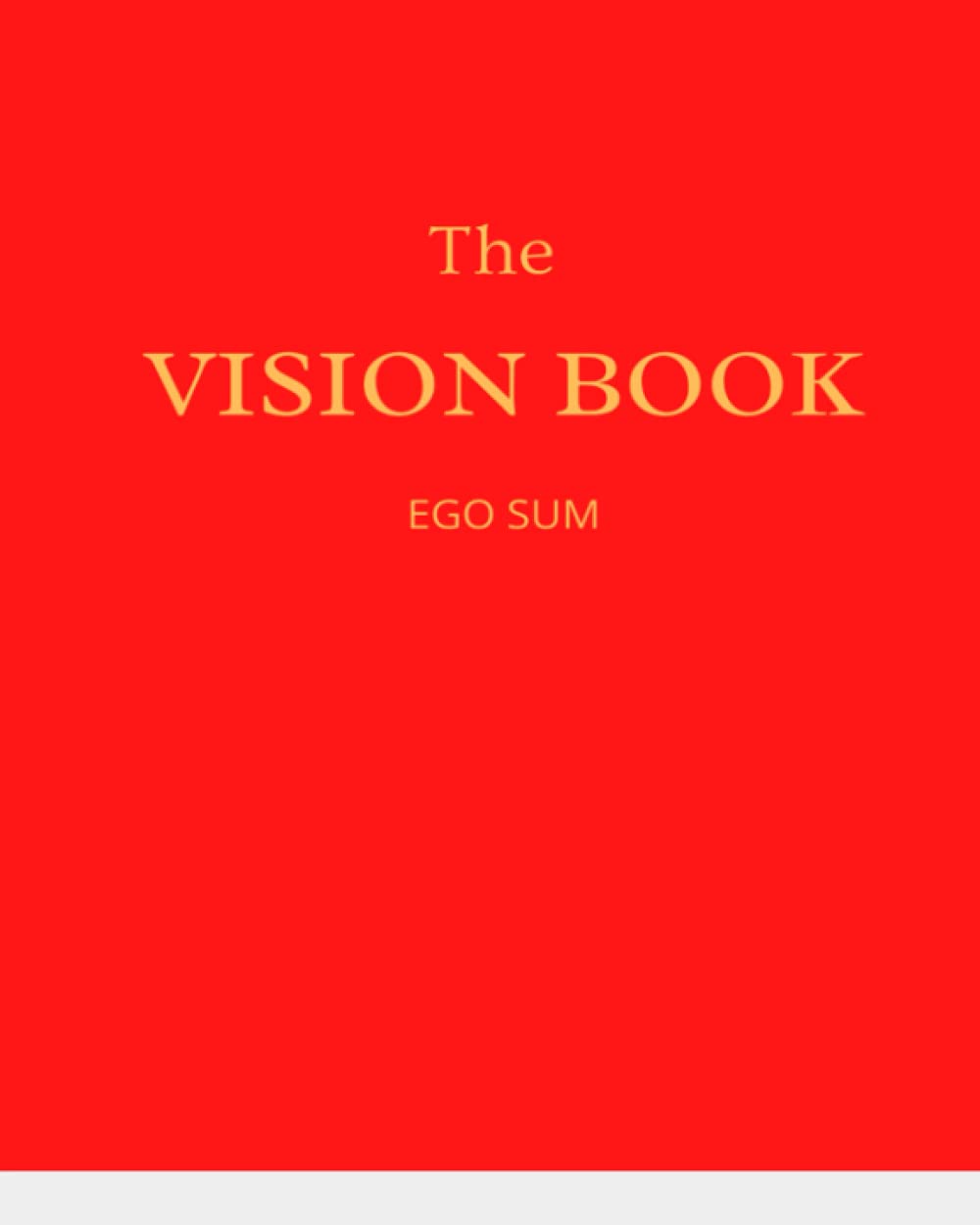 The Vision Book by Aubrielle Hodges | Goodreads