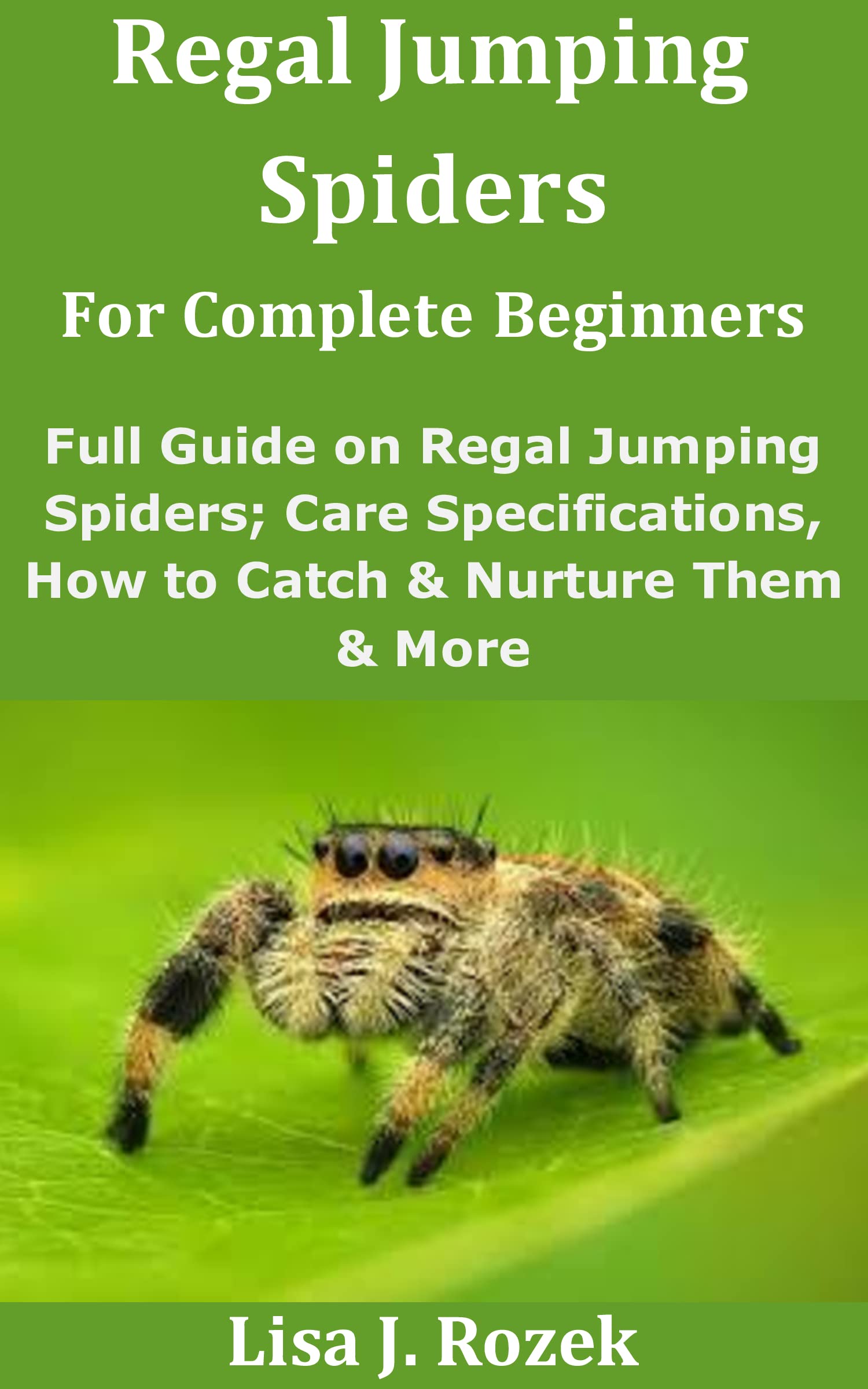 Regal Jumping Spiders for Complete Beginners: Full Guide on Regal Jumping Spiders; Care ...