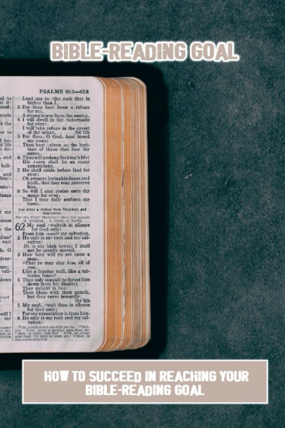 Bible-Reading Goal: How To Succeed In Reaching Your Bible-Reading Goal ...