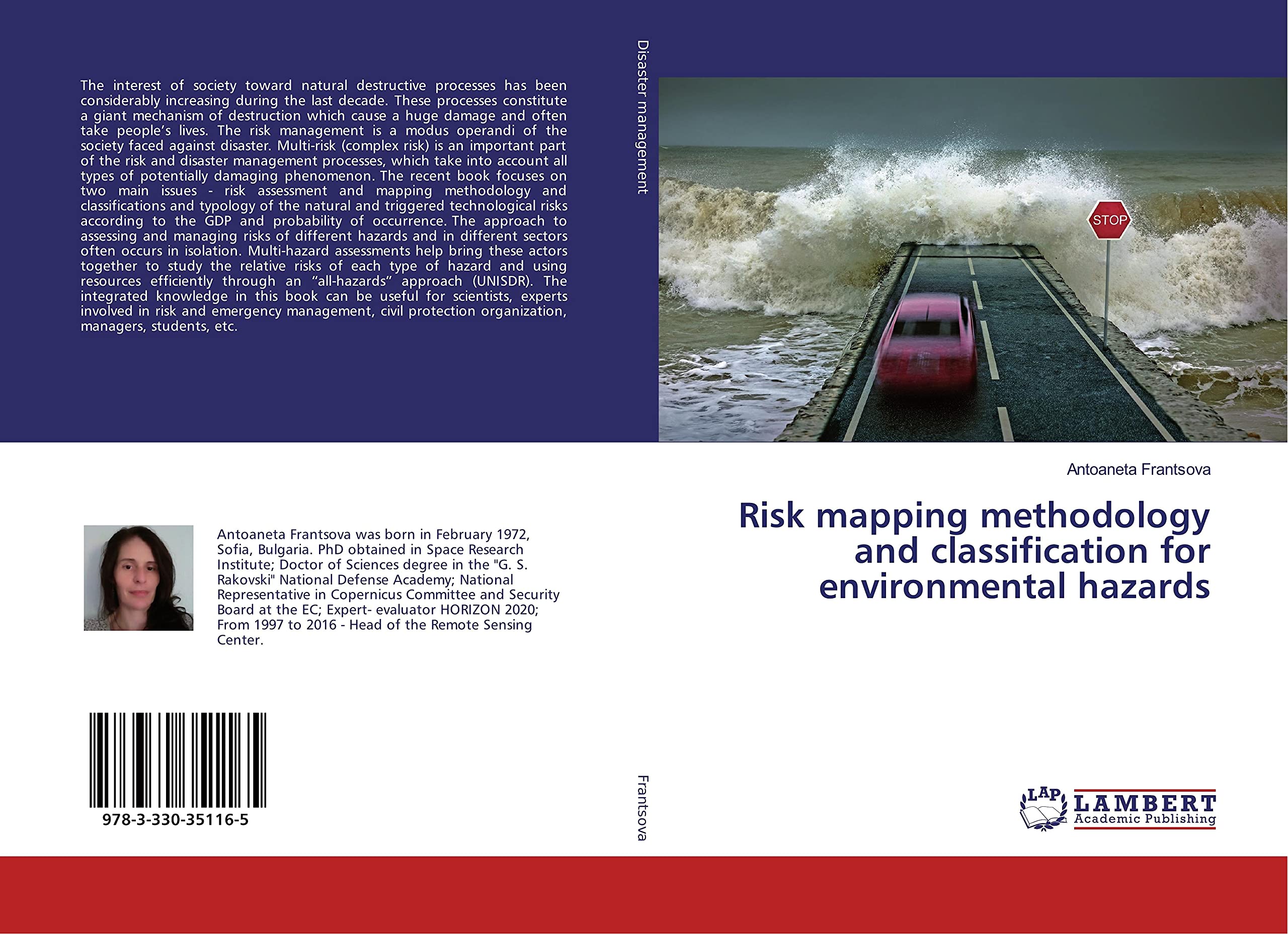 Risk mapping methodology and classification for environmental hazards ...