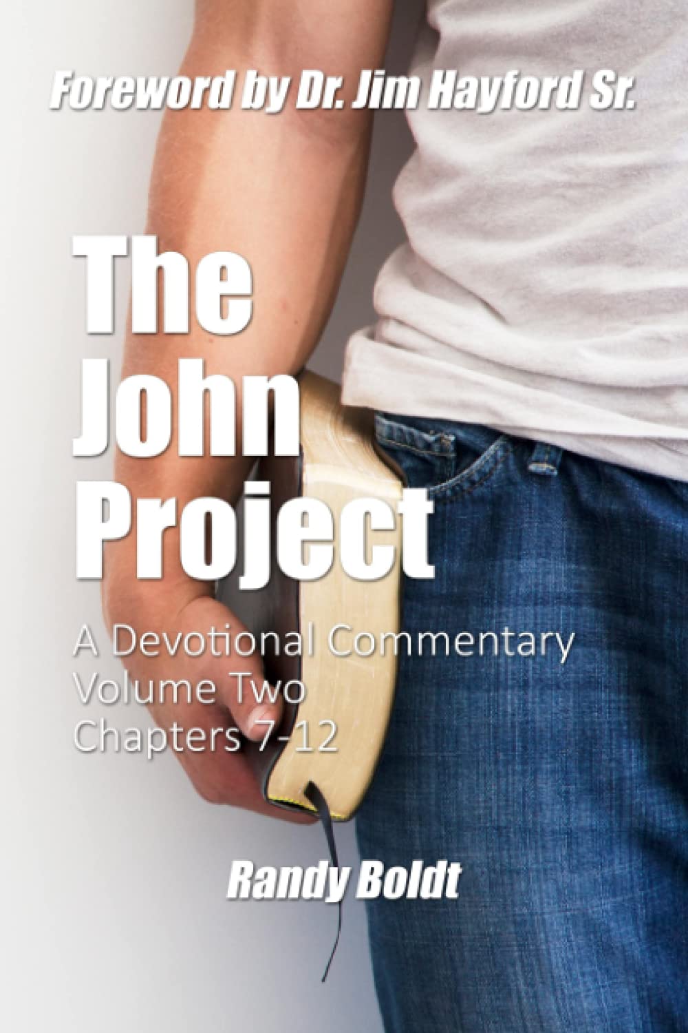 The John Project: A Devotional Commentary - Volume Two by Randy Boldt ...