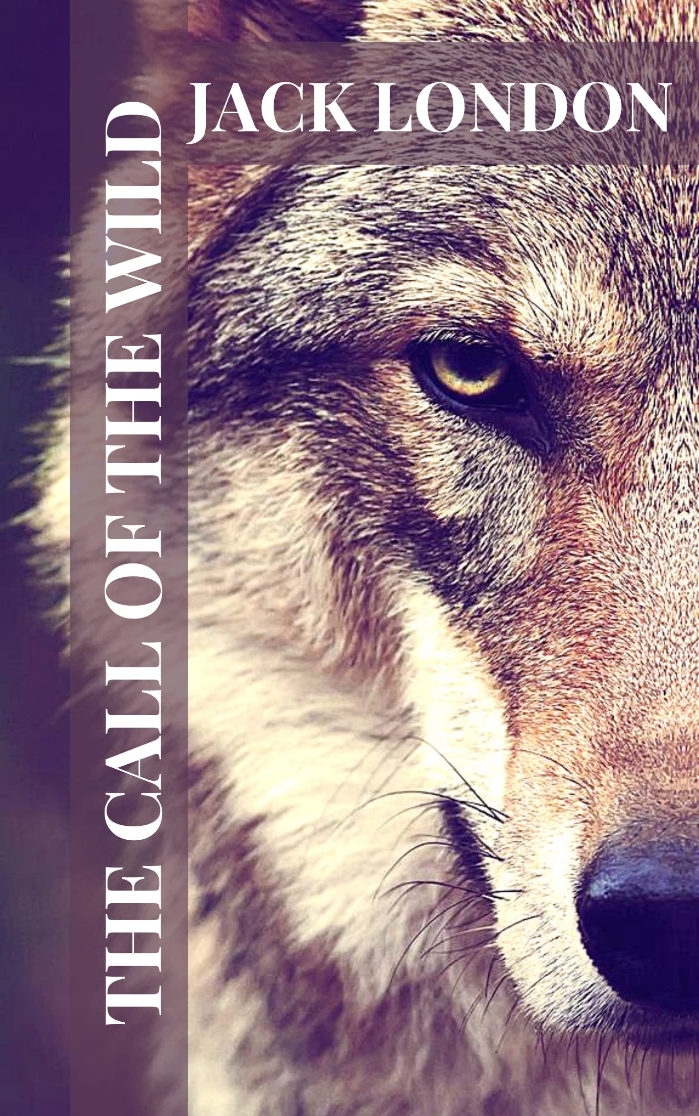 The Call of the Wild: Jack London (Fiction Anthologies Action Short ...