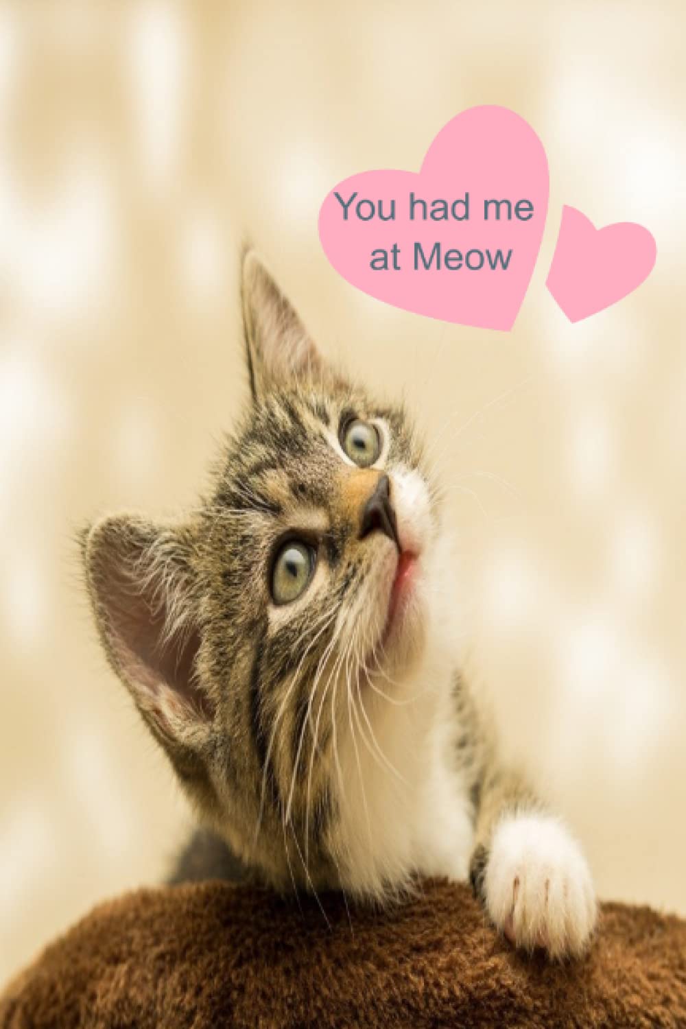 Cat note book by Katherine Ramirez | Goodreads