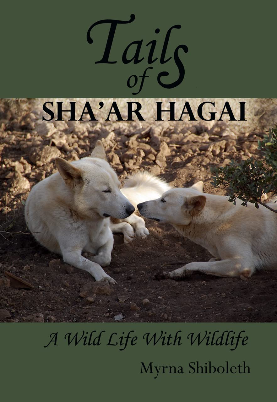 Tails of Sha'ar Hagai: A Wild Life With Wildlife by Myrna Shiboleth ...