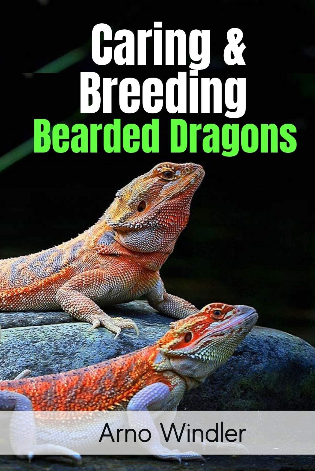Caring & Breeding Bearded Dragons: Complete Step-By-Step Beginners Guide On How To Care For And ...