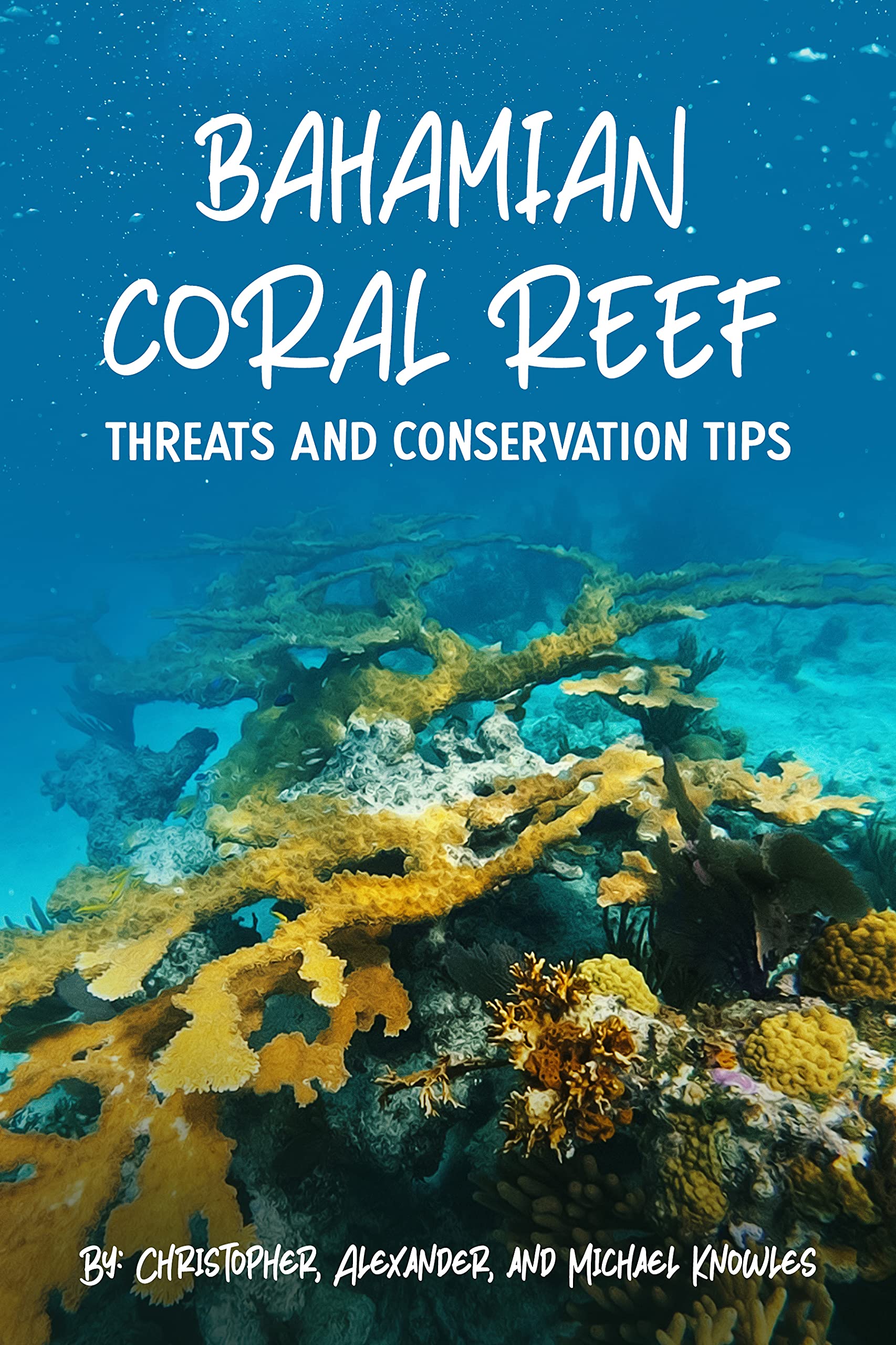 Bahamian Coral Reef: Why We Should Save Coral Reefs by Christopher ...