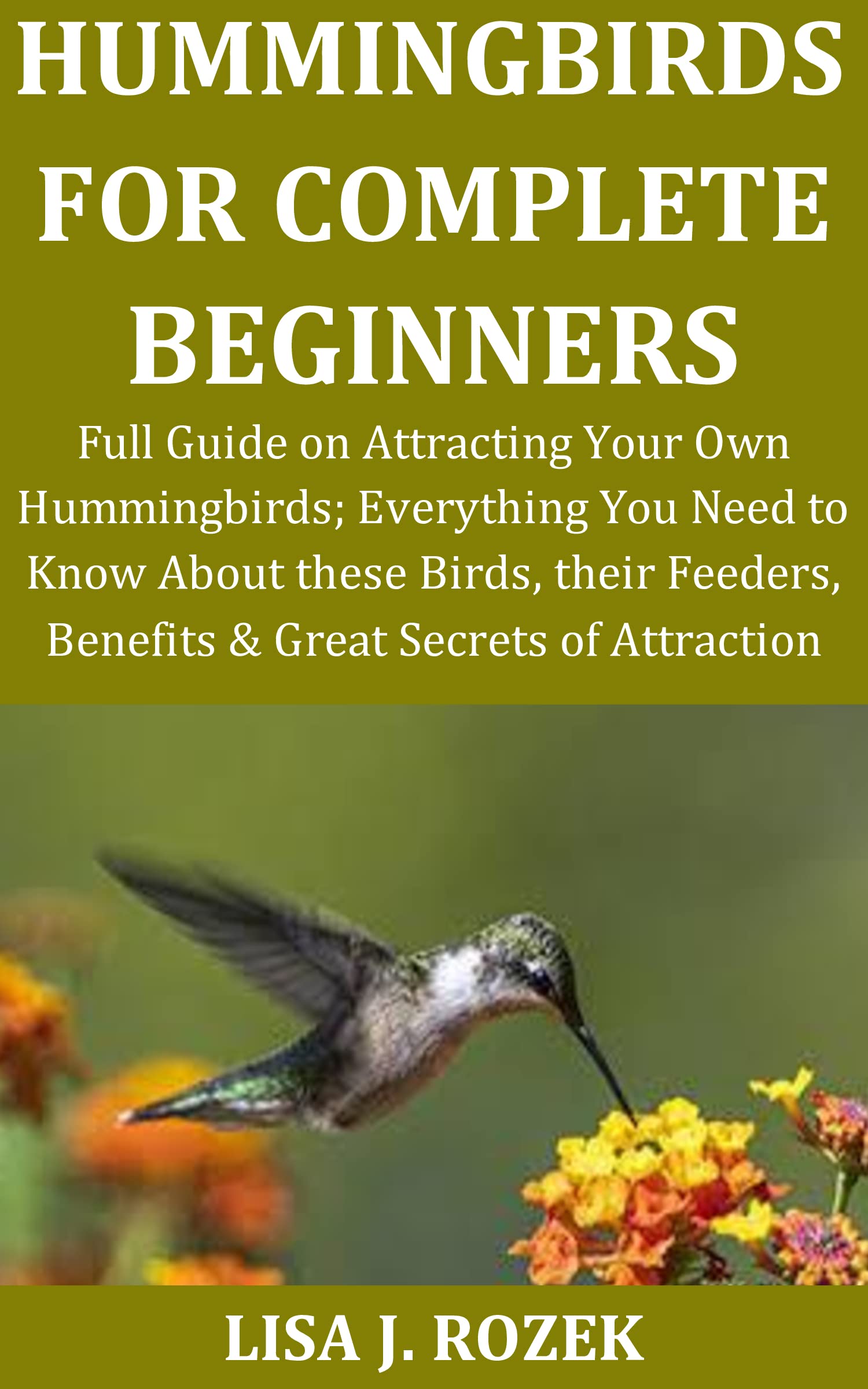 Hummingbirds for Complete Beginners: Full Guide on Attracting Your Own ...