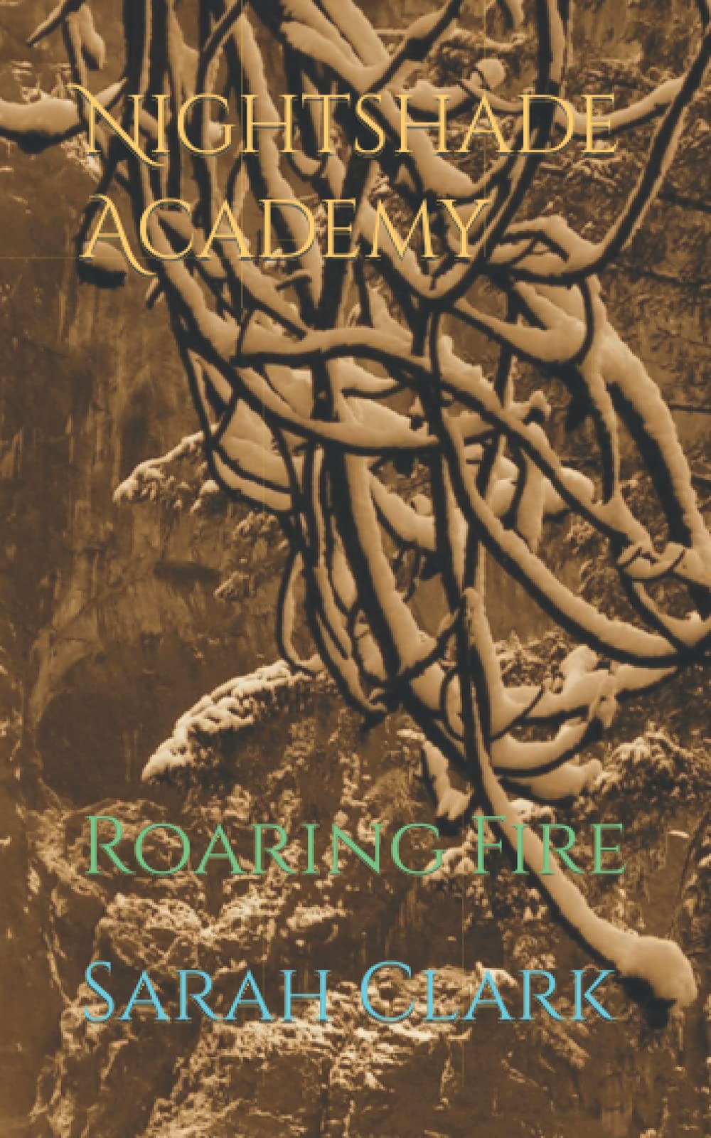 Nightshade Academy: Roaring Fire by Sarah Clark | Goodreads