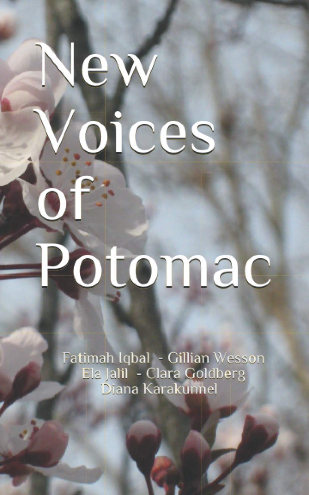 New Voices of Potomac: Short Stories by Fatimah Iqbal - Gillian Wesson ...