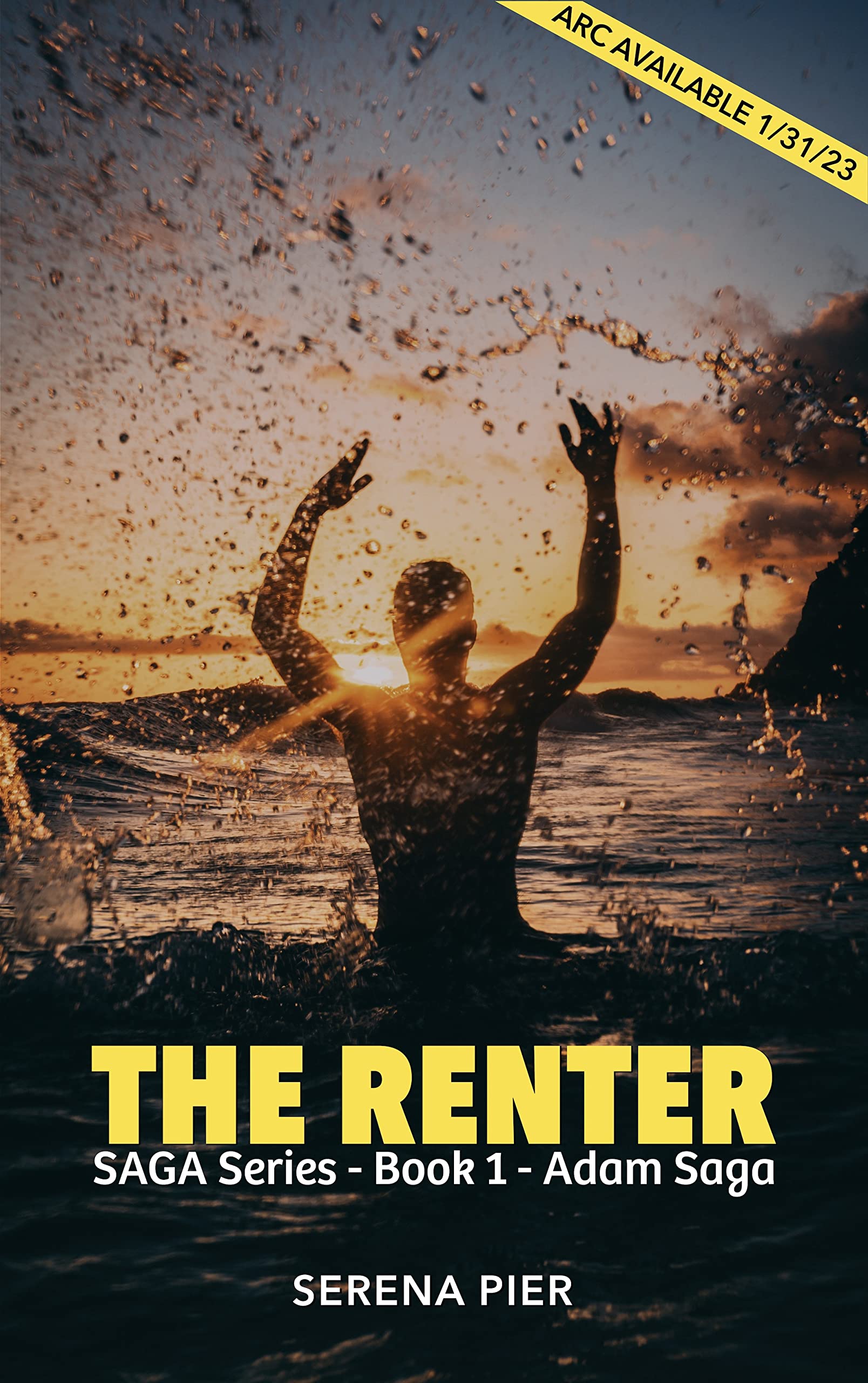 The Renter by Serena Pier | Goodreads
