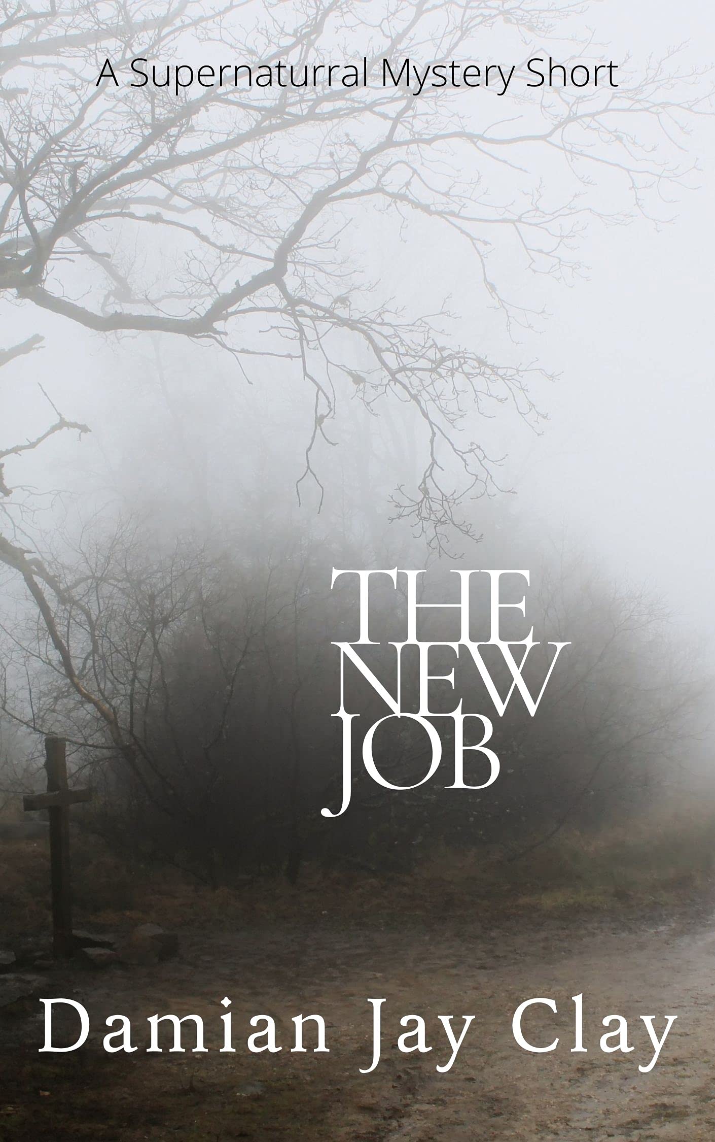 The New Job: A Supernatural Mystery Short by Damian Jay Clay | Goodreads