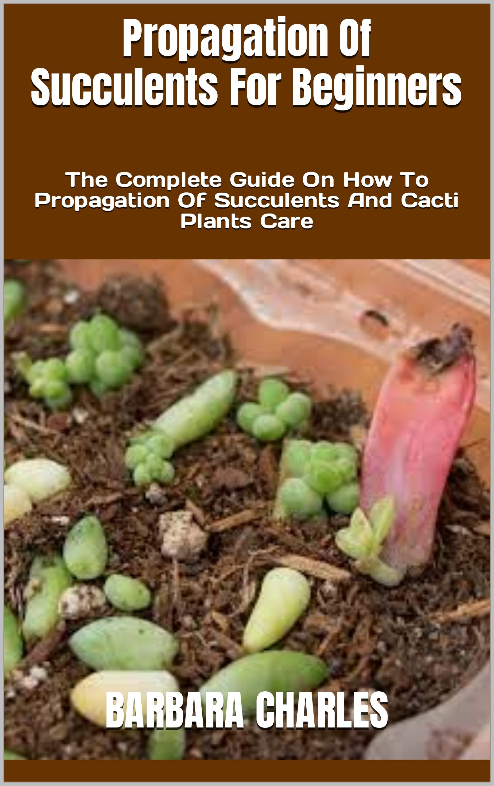Propagation Of Succulents For Beginners : The Complete Guide On How To Propagation Of Succulents ...