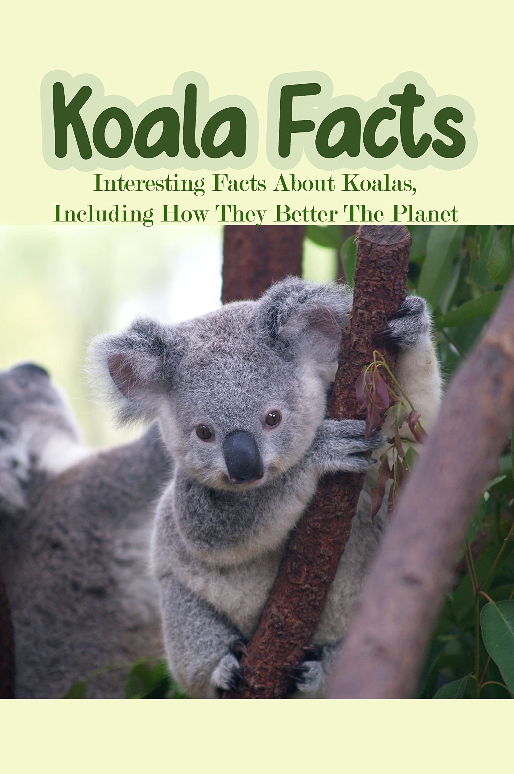 Koala Facts: Interesting Facts About Koalas, Including How They Better The Planet: Interesting ...