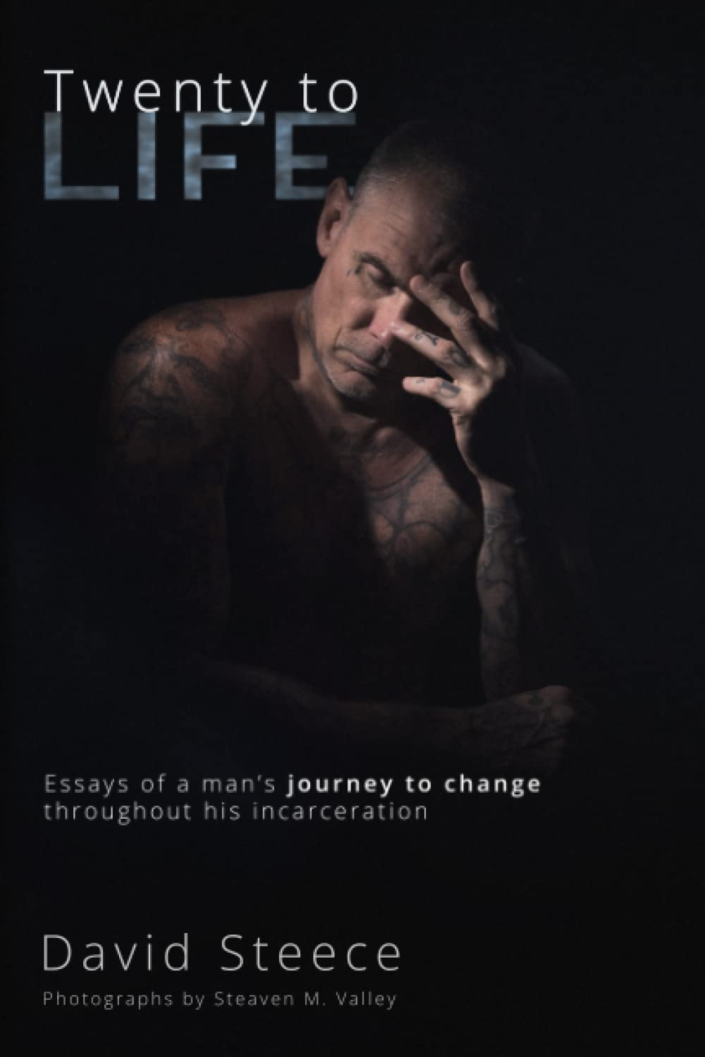 Twenty to Life: Essays of a man's journey to change through his ...