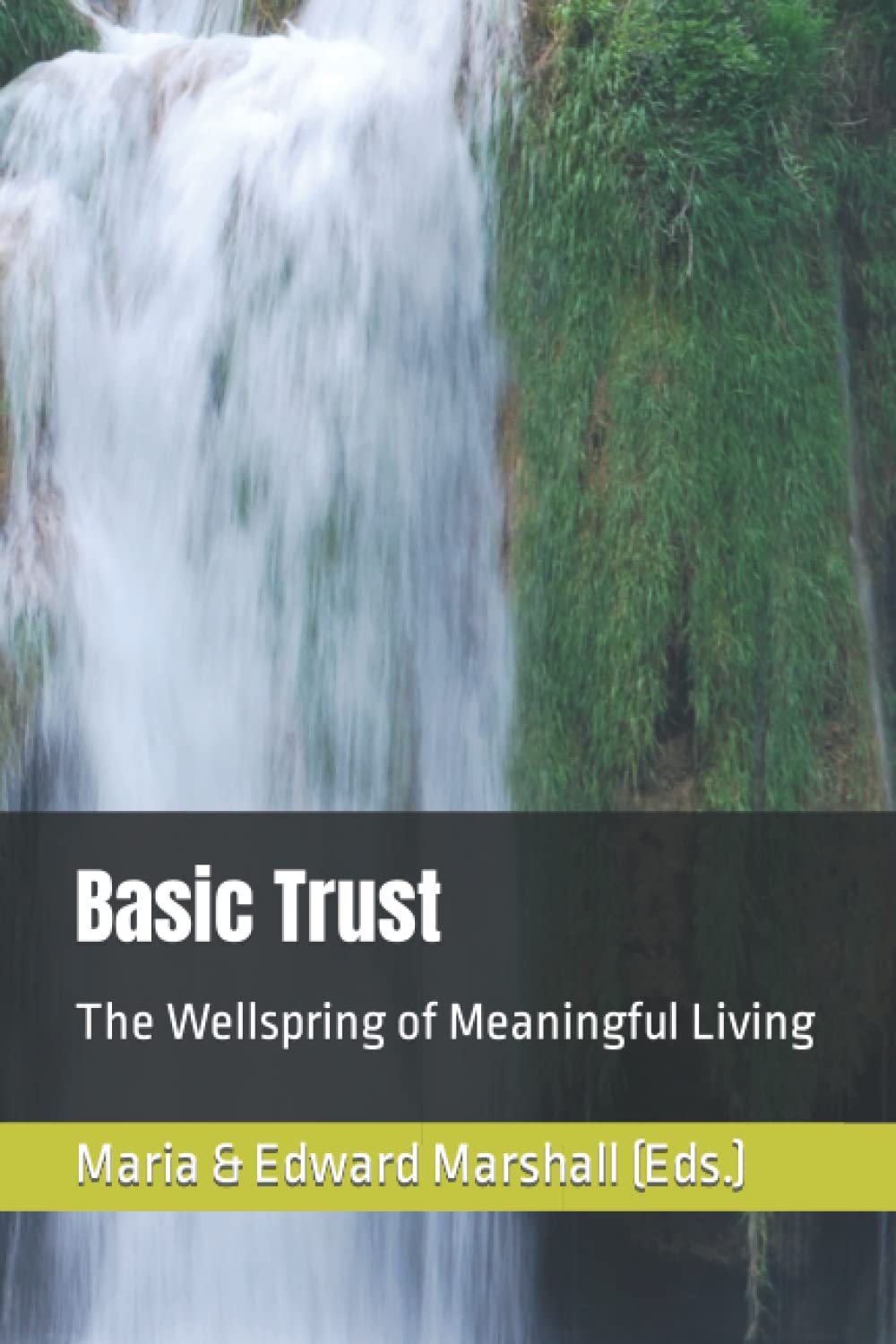 Basic Trust: The Wellspring of Meaningful Living by Maria Marshall ...