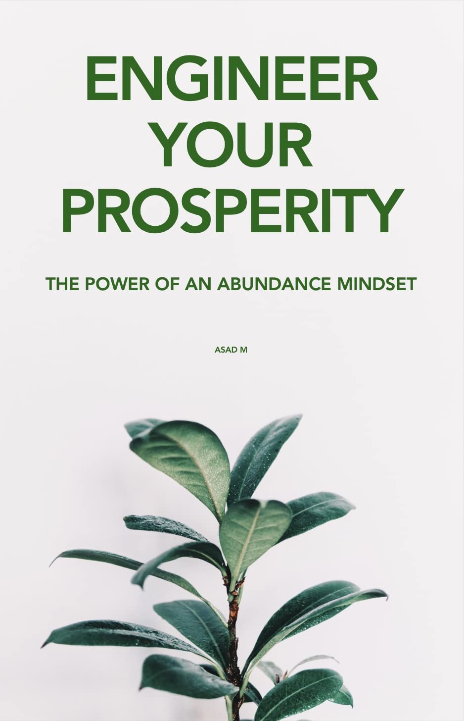 Engineer Your Prosperity: The Power of an Abundance Mindset by Asad M ...