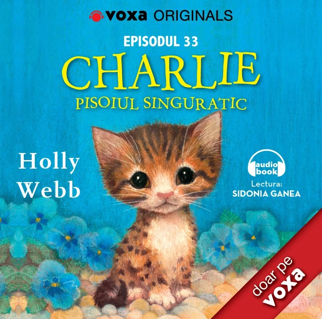 Charlie, pisoiul singuratic (Animal Stories #46) by Holly Webb | Goodreads