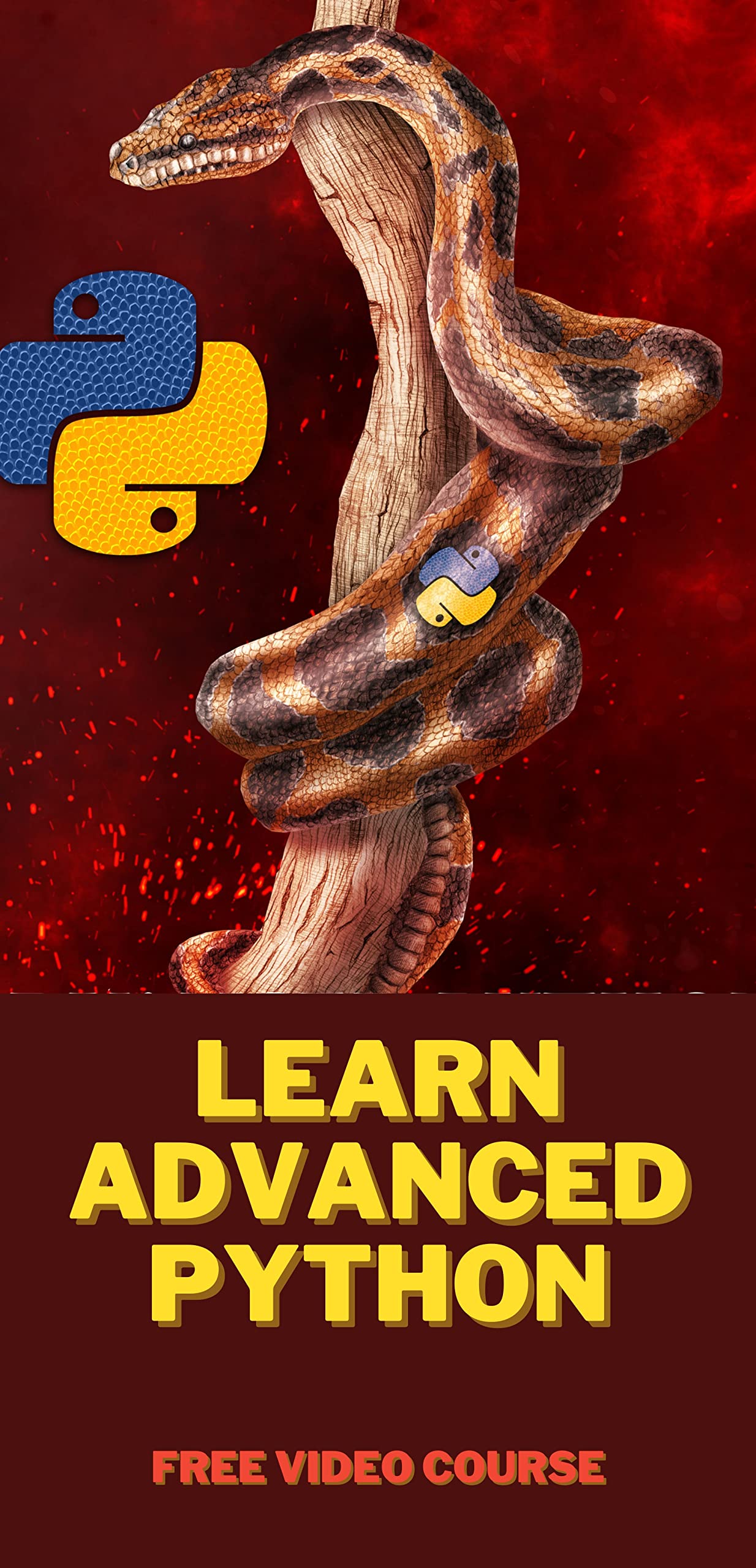 Learn Advanced PYTHON: Short Introduction and Access to Full Video ...