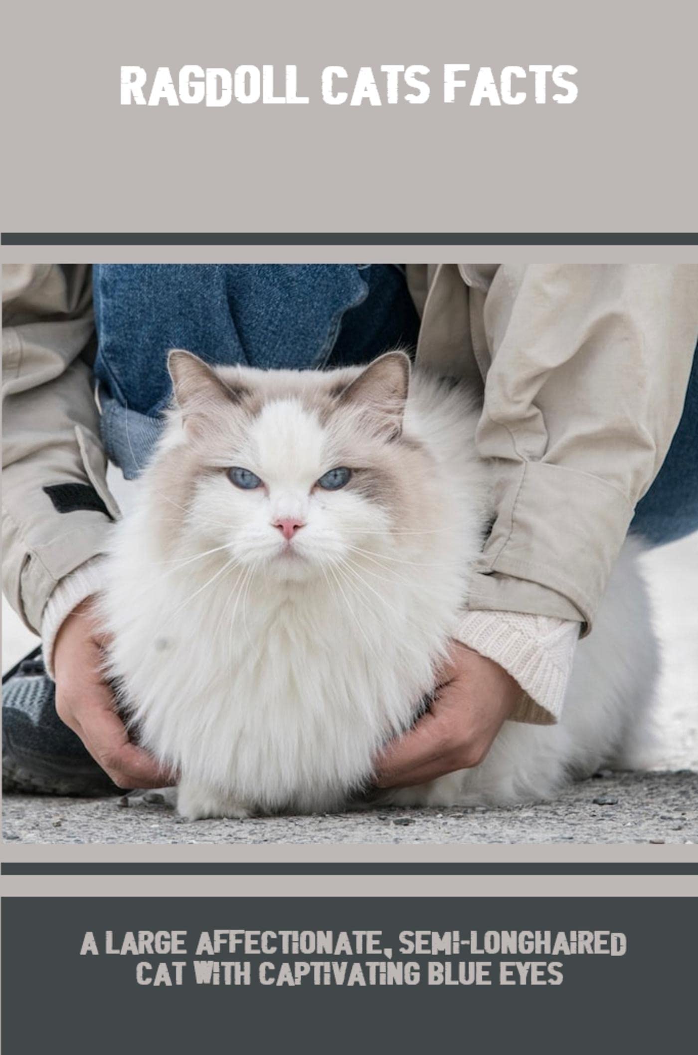 Ragdoll Cats Facts: A Large Affectionate, Semi-Longhaired Cat With ...
