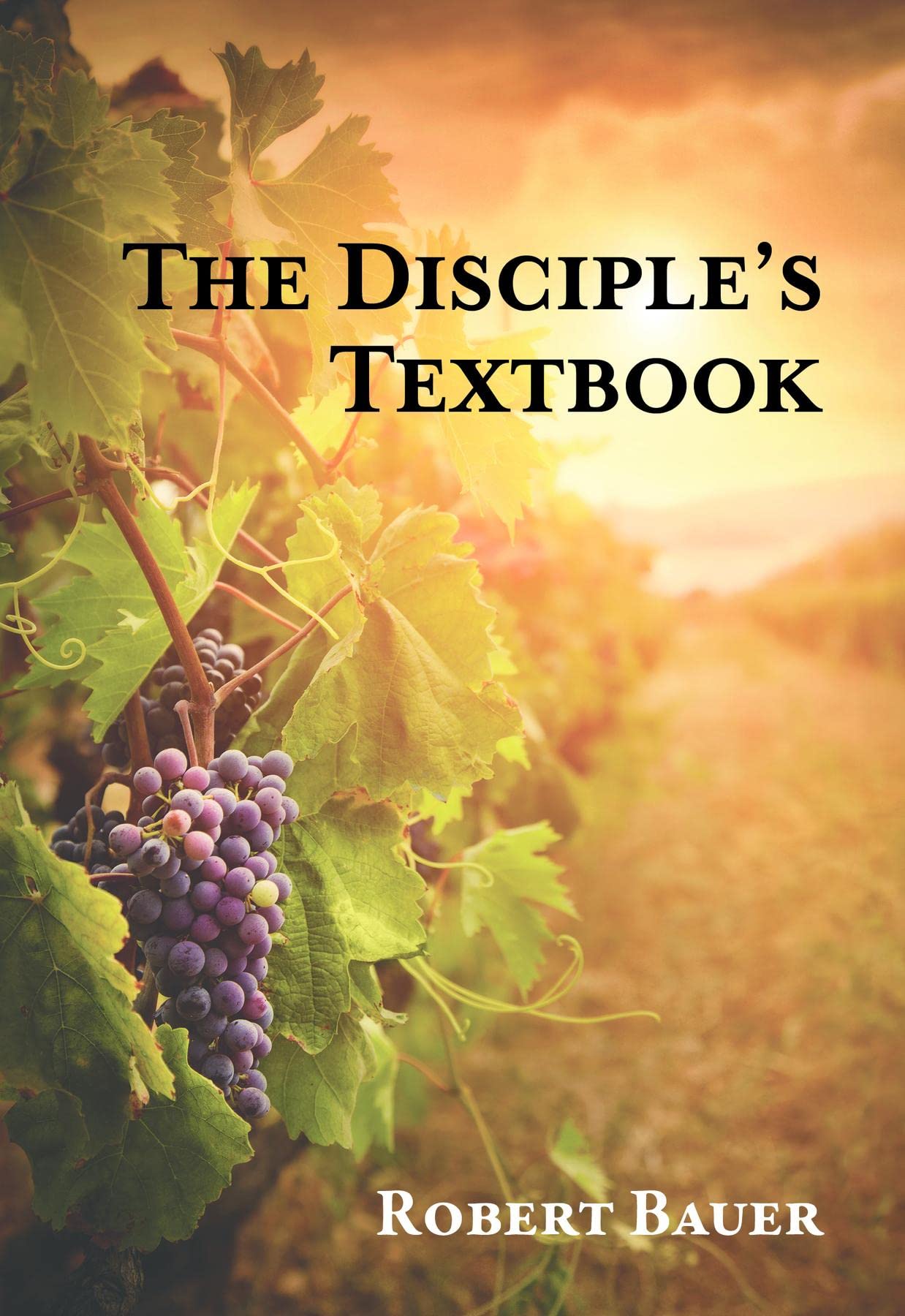 The Disciple's Textbook by Robert Bauer | Goodreads