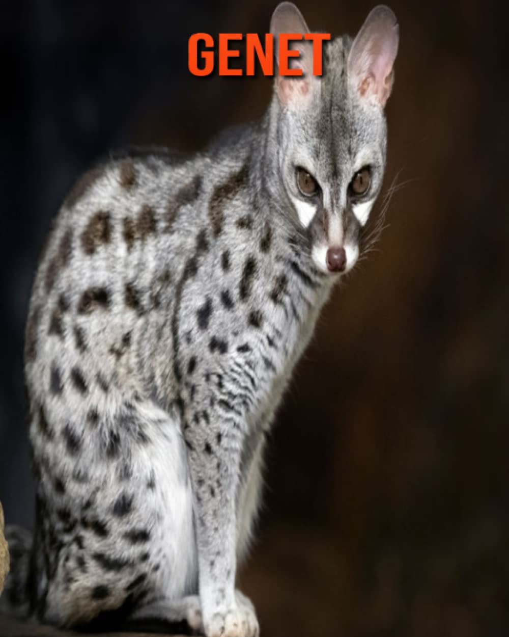 Genet: Beautiful Pictures & Interesting Facts Children Book About Genet ...